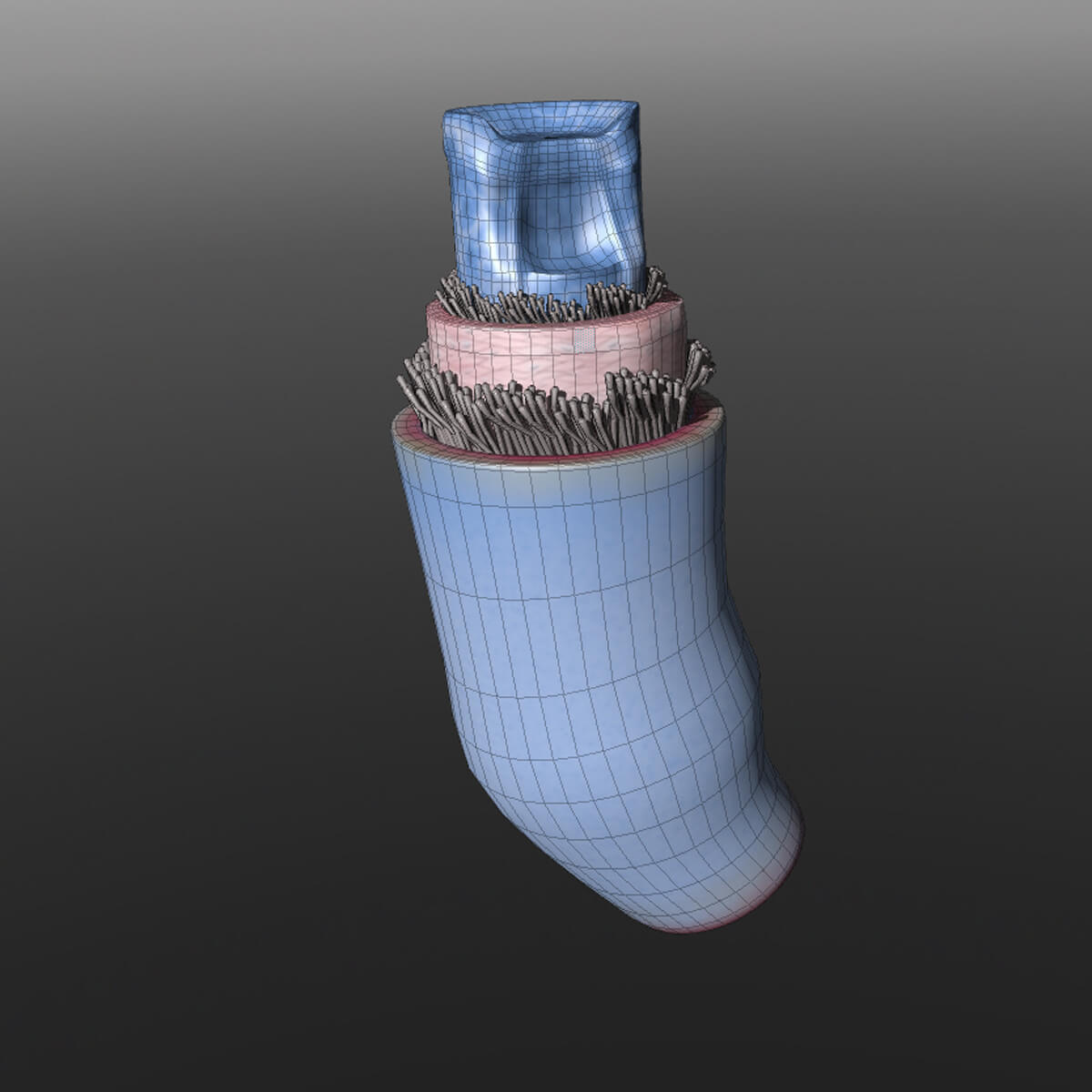 Structure of a Normal Heart Vein - 3D Model by clacydarch