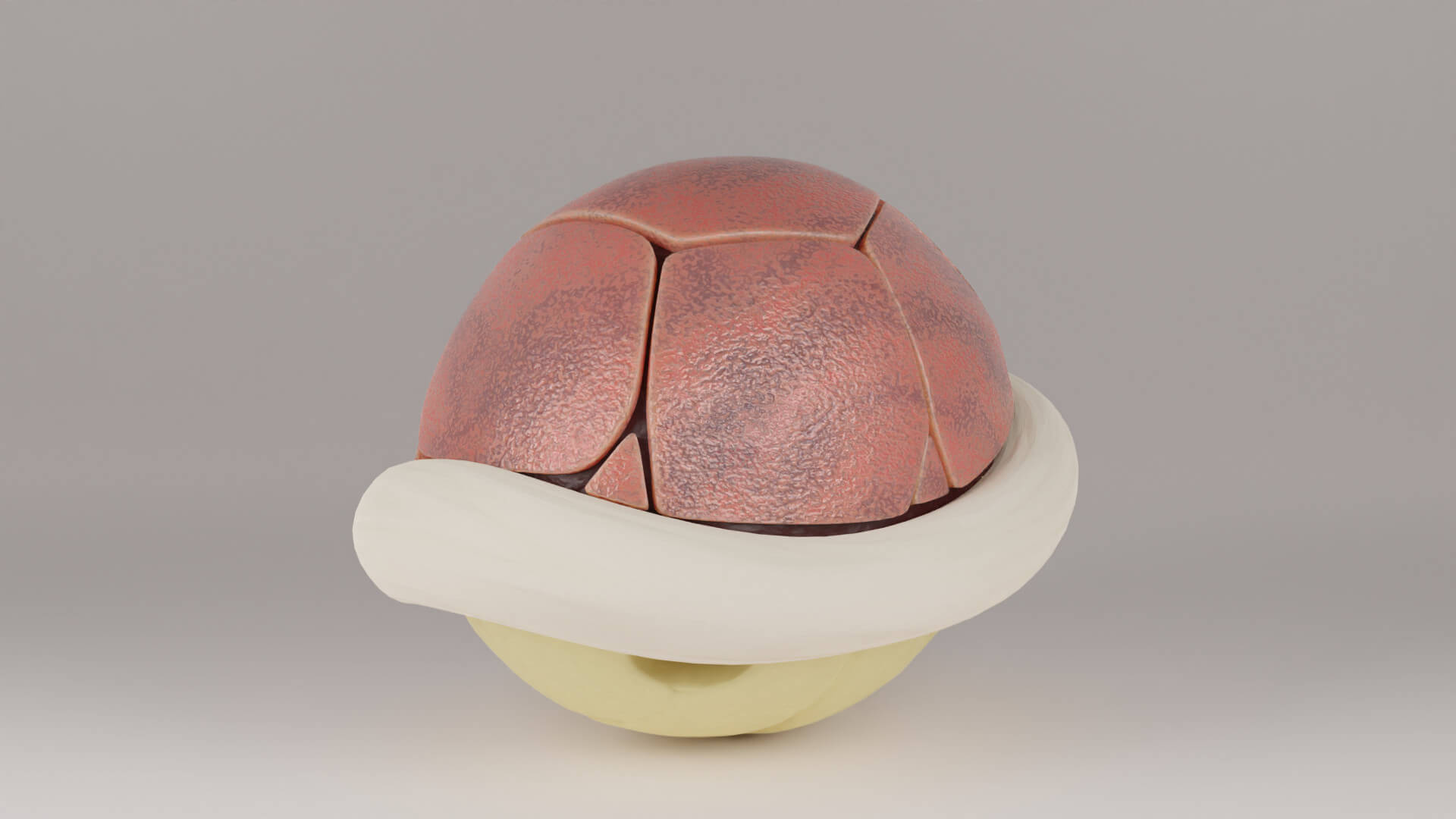 Shells and Blue Shell - 3D Model by clickdamn