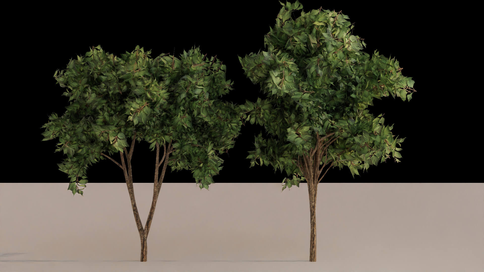 Trees - 3D Model by clickdamn