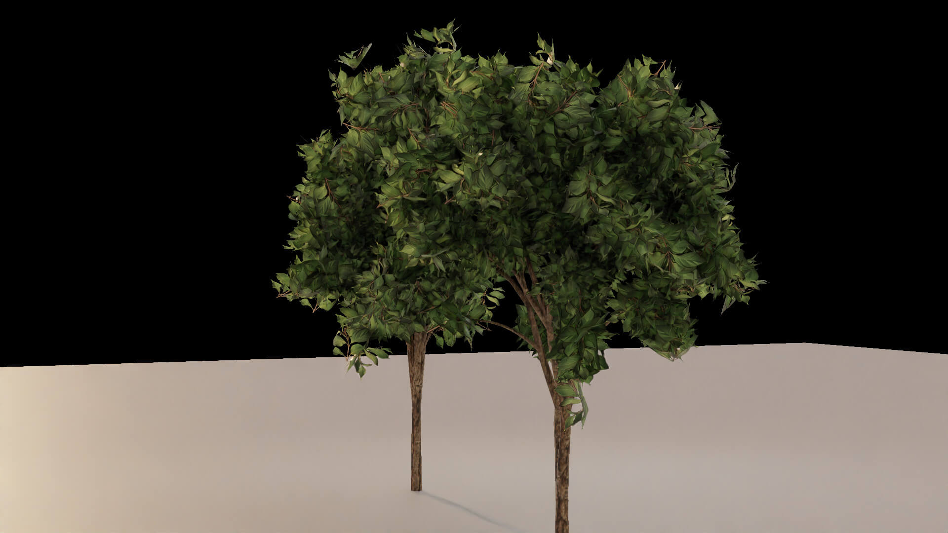 Trees - 3D Model by clickdamn