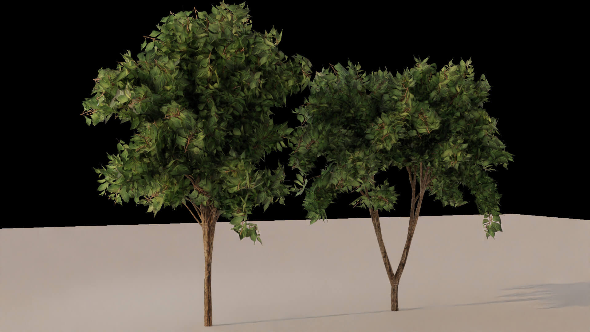 Trees - 3D Model by clickdamn