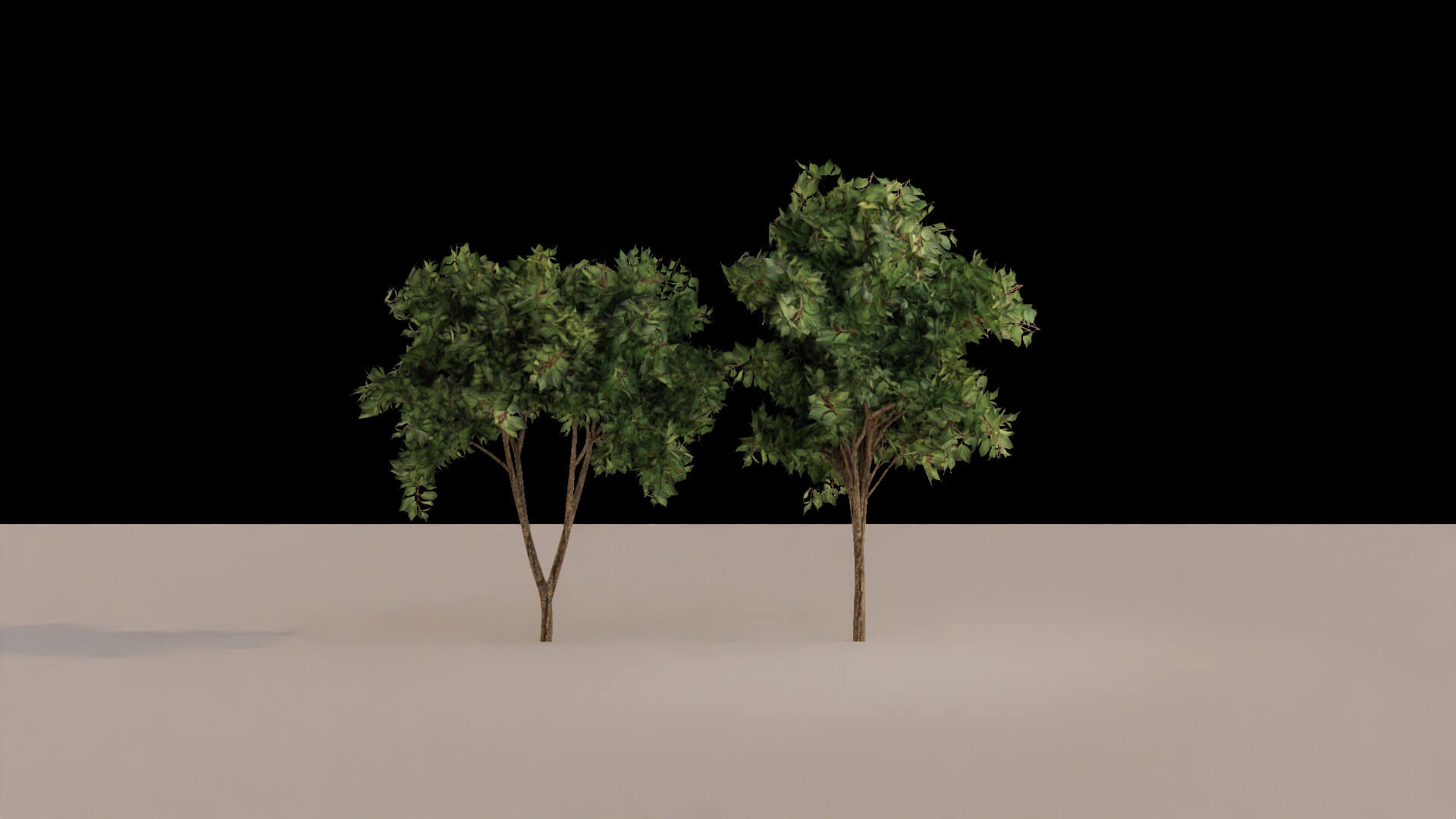 Trees - 3D Model by clickdamn
