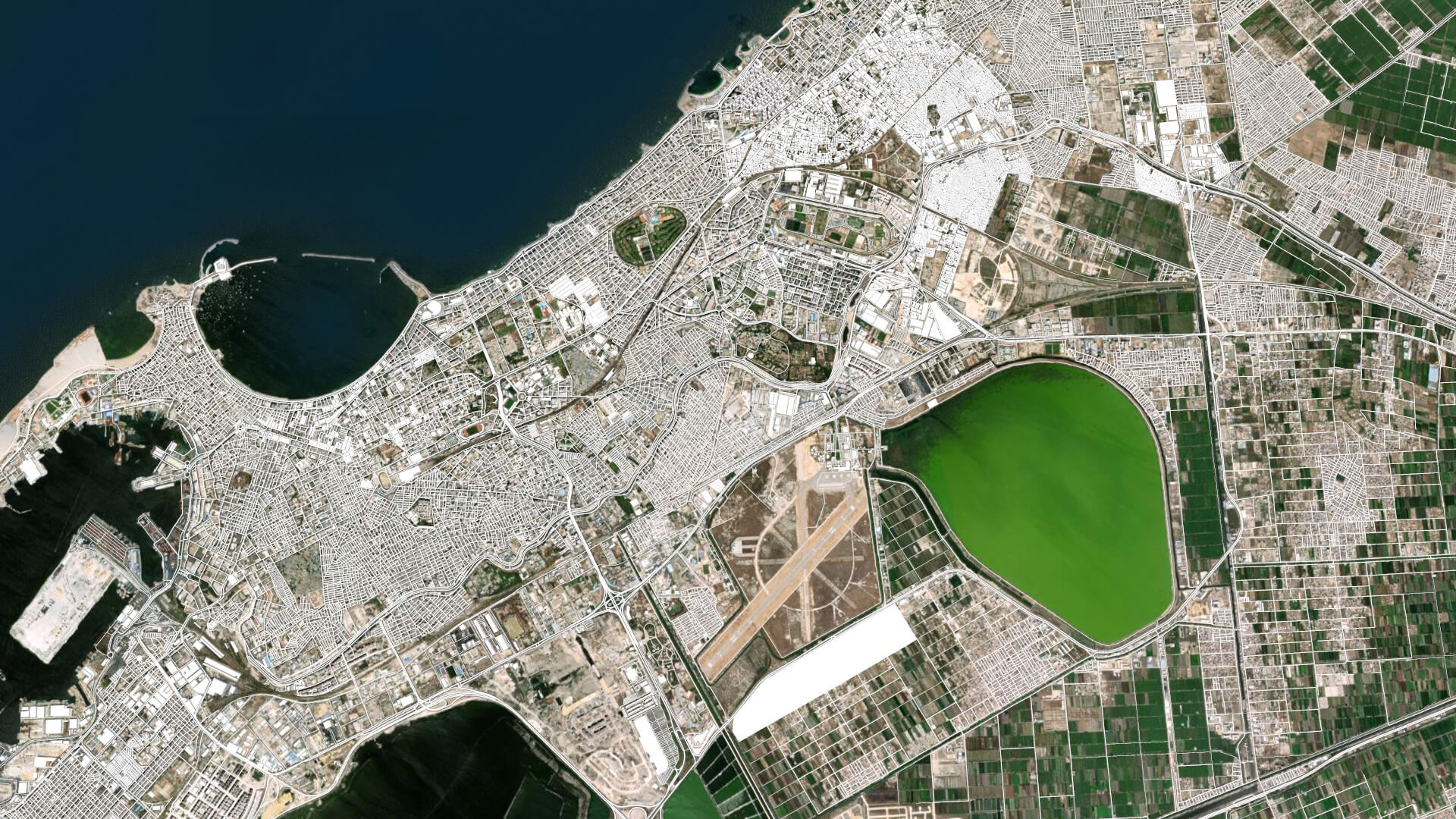 Cityscape Alexandria Egypt - 3D Model by clickshop3d