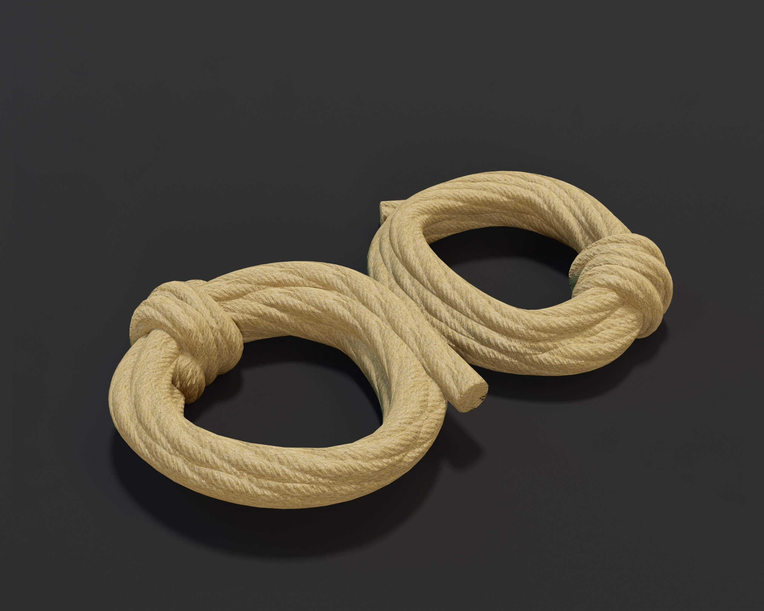 Old Used Ropes - 3D Model by clockworkcreations