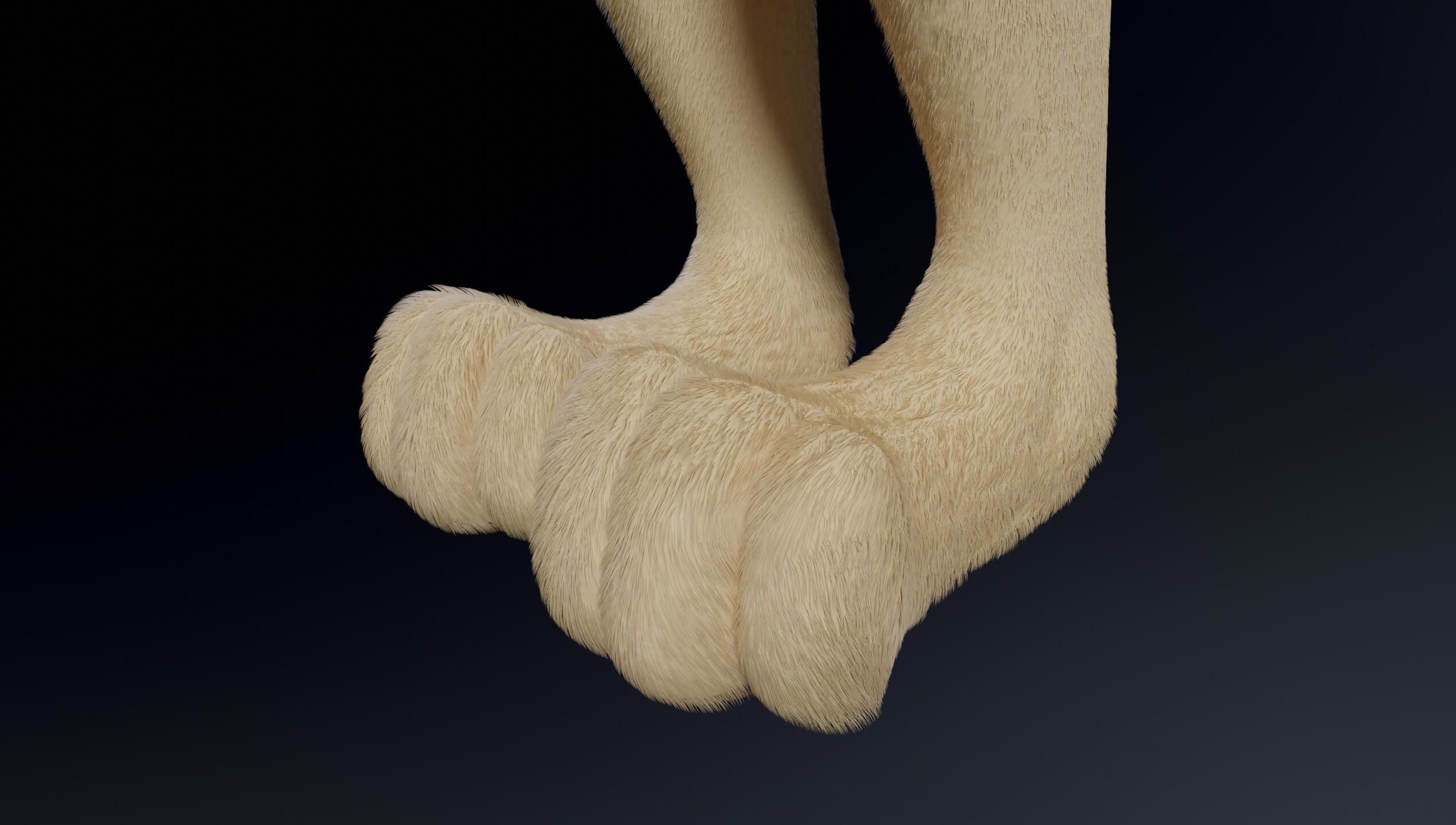 Alexa Anthro Rabbit - 3D Model by CM Studios