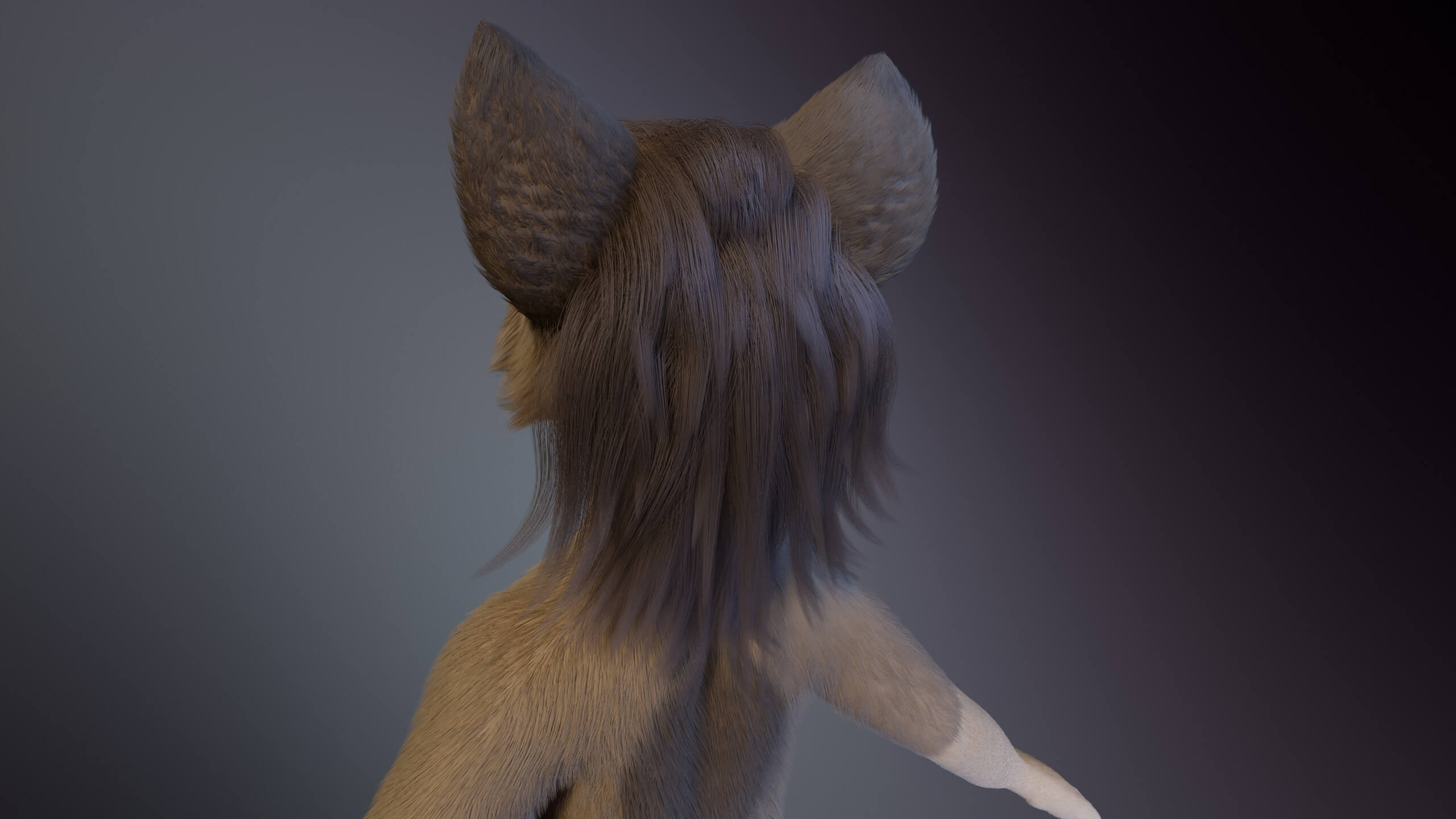 Ashley Anthro Wolf - 3D Model by CM Studios