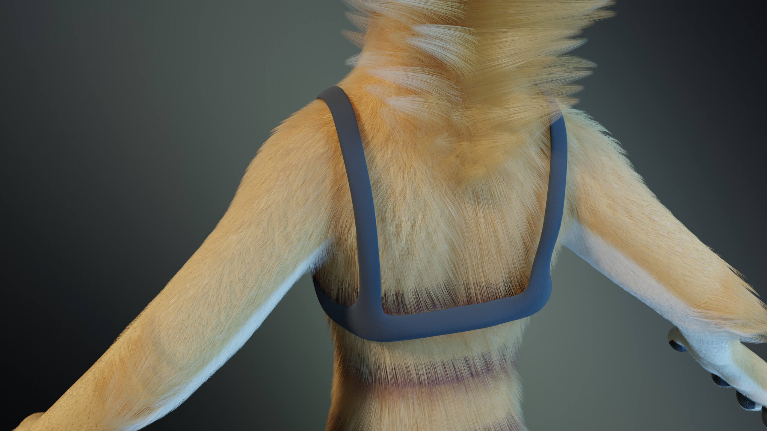 Aurora Anthro Cat - 3D Model by CM Studios