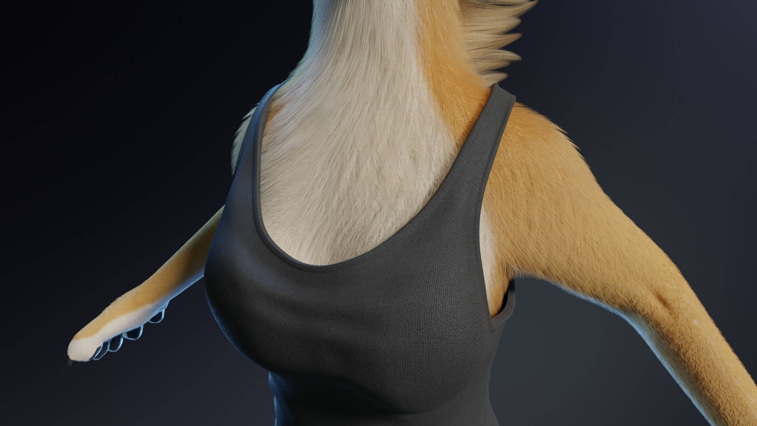 Aurora Anthro Cat - 3D Model by CM Studios