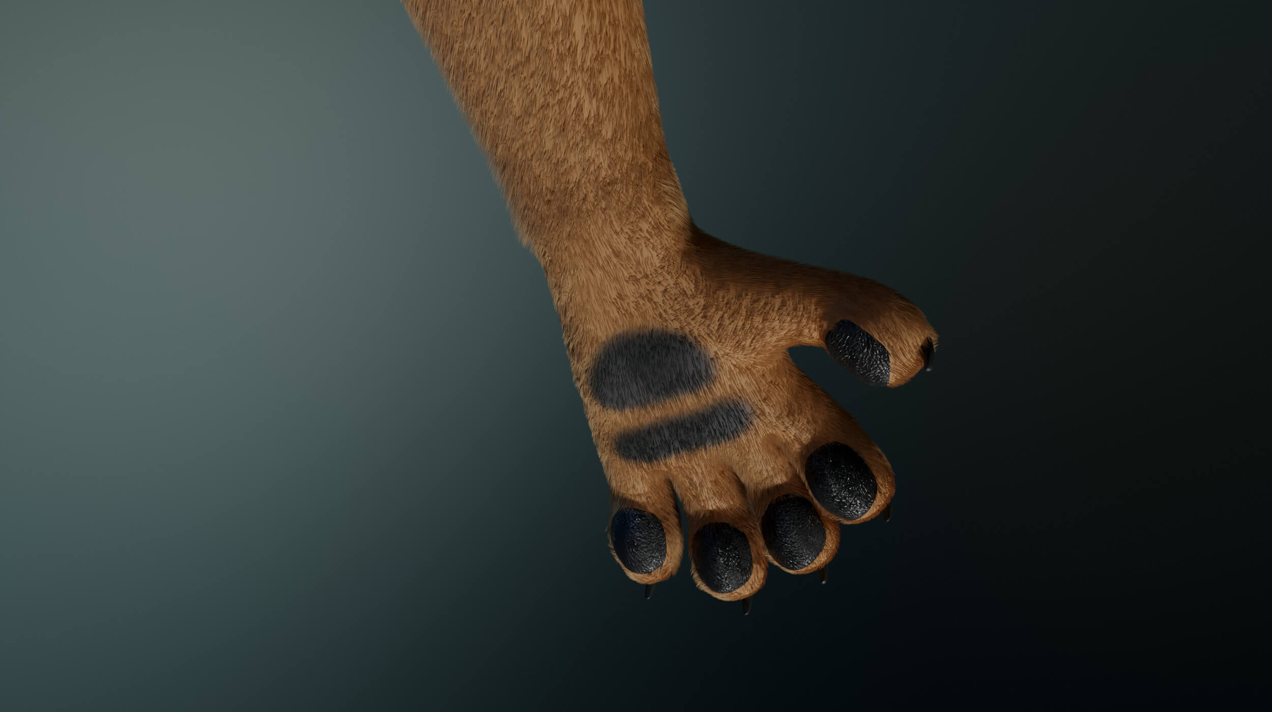 Cassandra Anthro Wolf - 3D Model by CM Studios