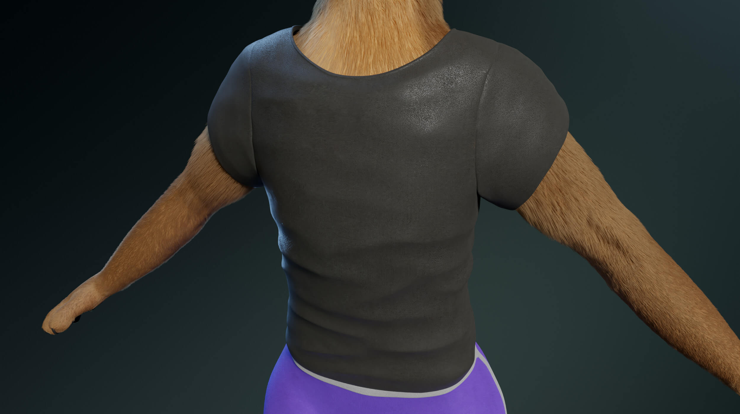 Cassandra Anthro Wolf - 3D Model by CM Studios