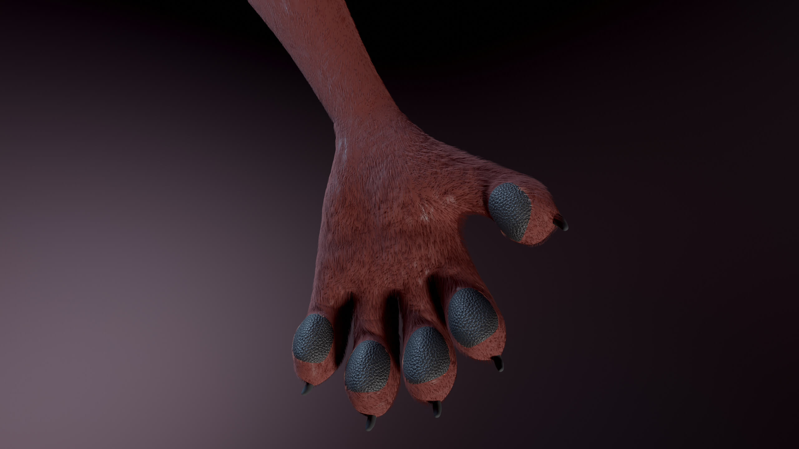 Celeste Anthro Fox - 3D Model by CM Studios