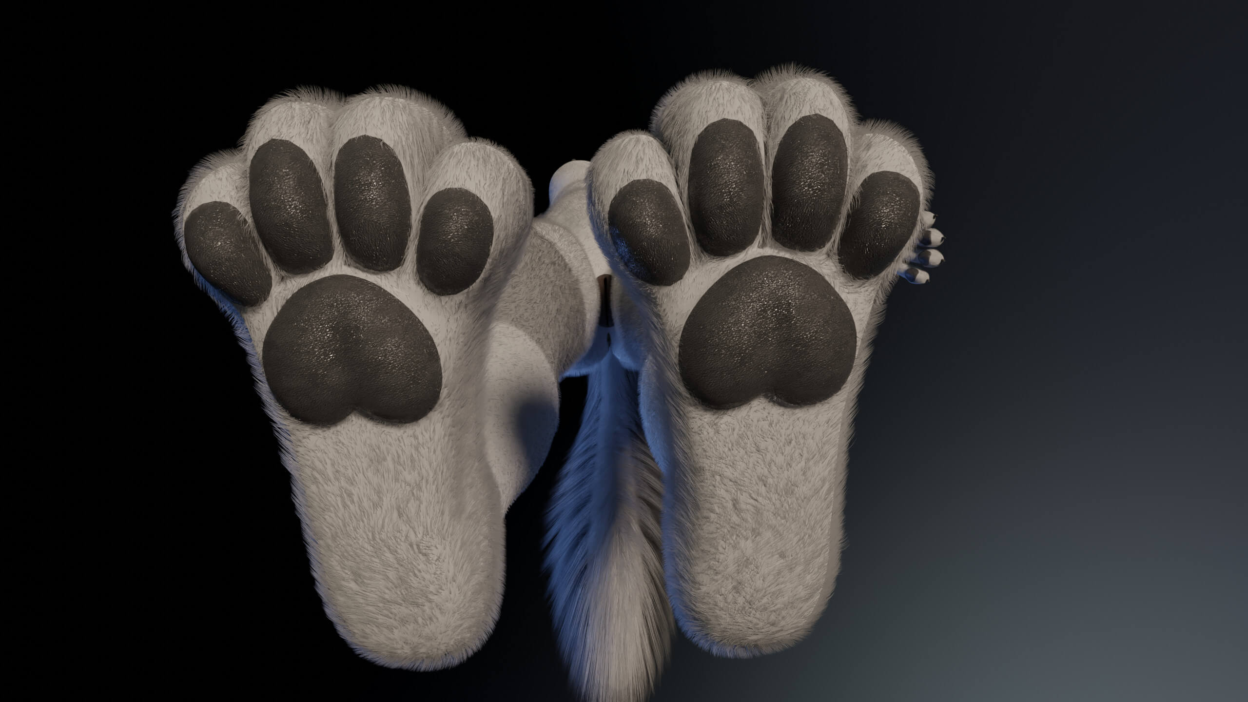 Eva Anthro Wolf - 3D Model by CM Studios