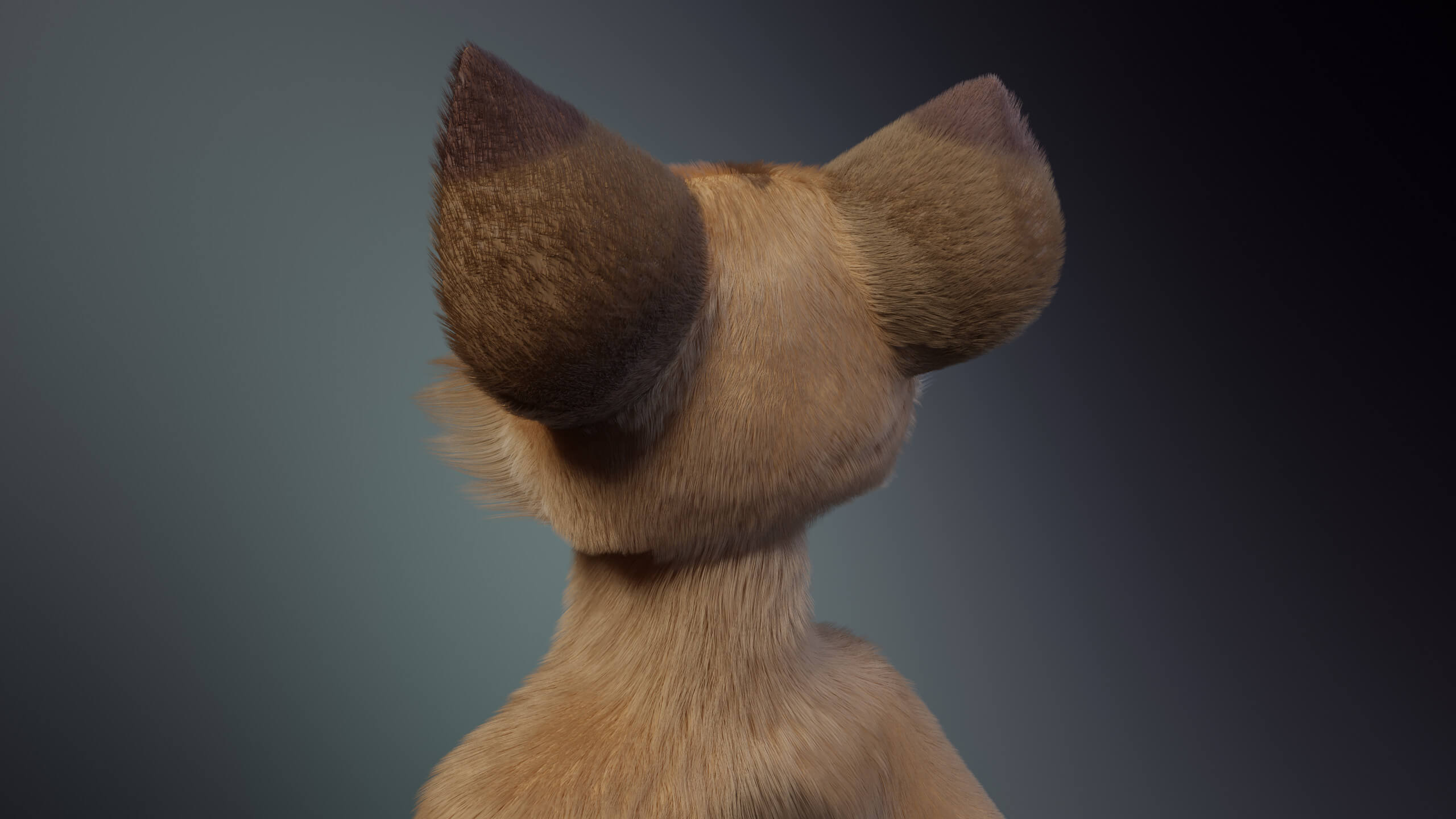 Jacob Anthro Dingo - 3D Model by CM Studios