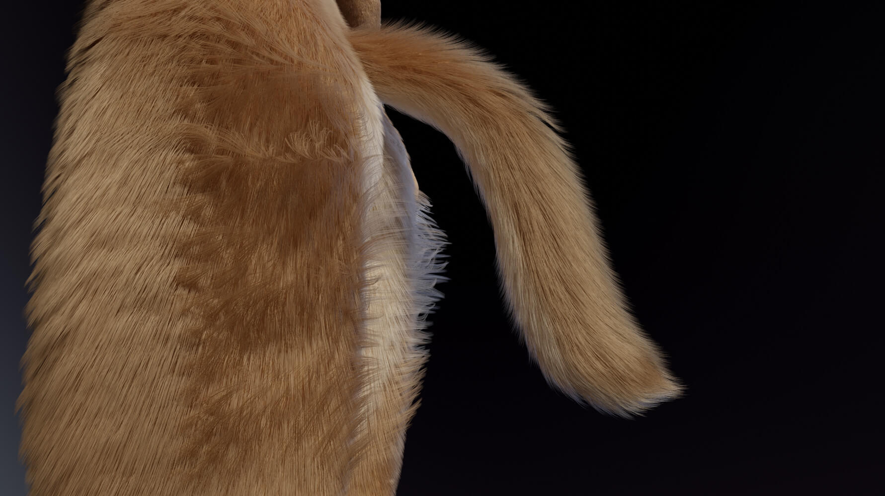 Jacob Anthro Dingo - 3D Model by CM Studios