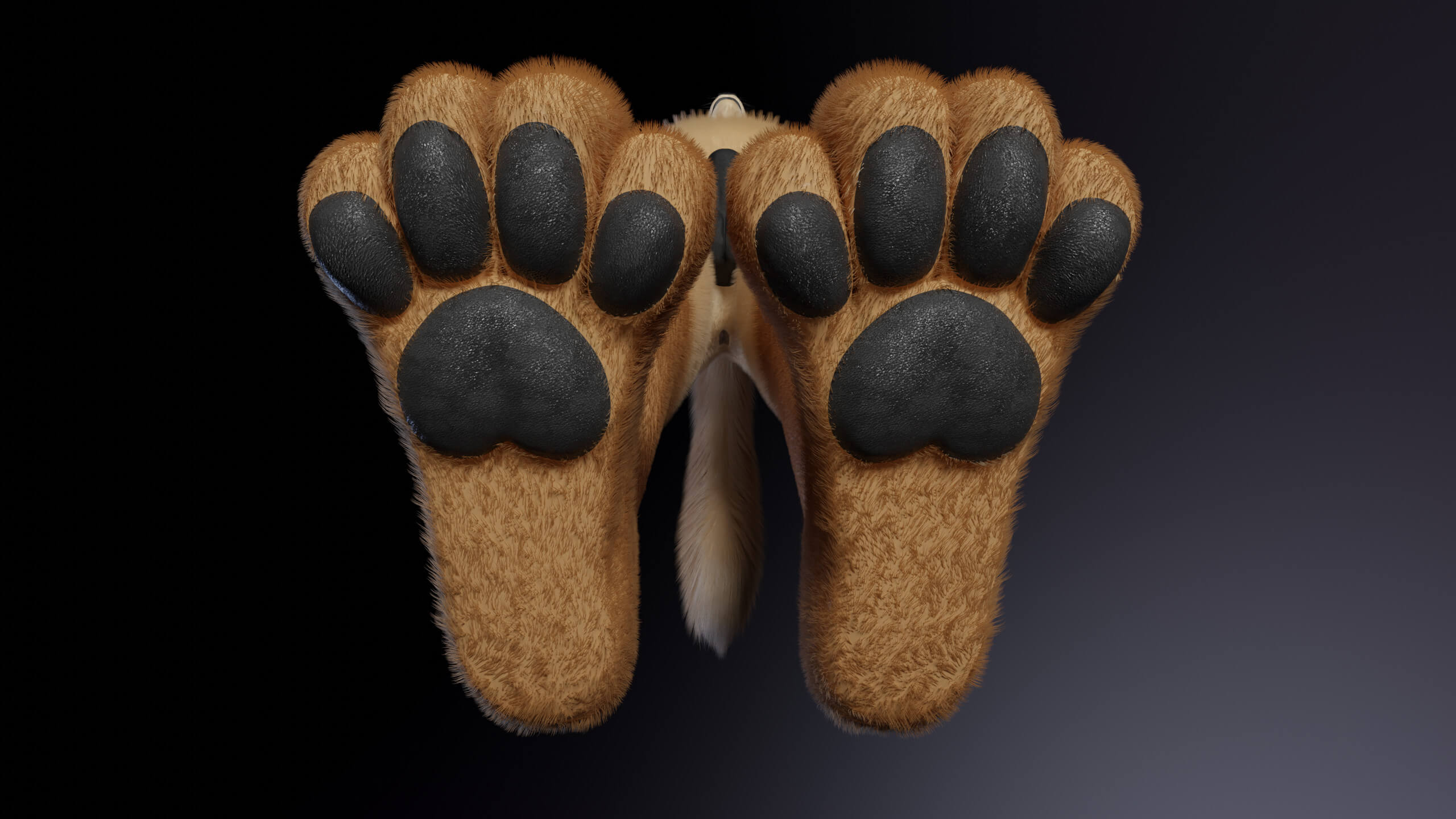 Jacob Anthro Dingo - 3D Model by CM Studios