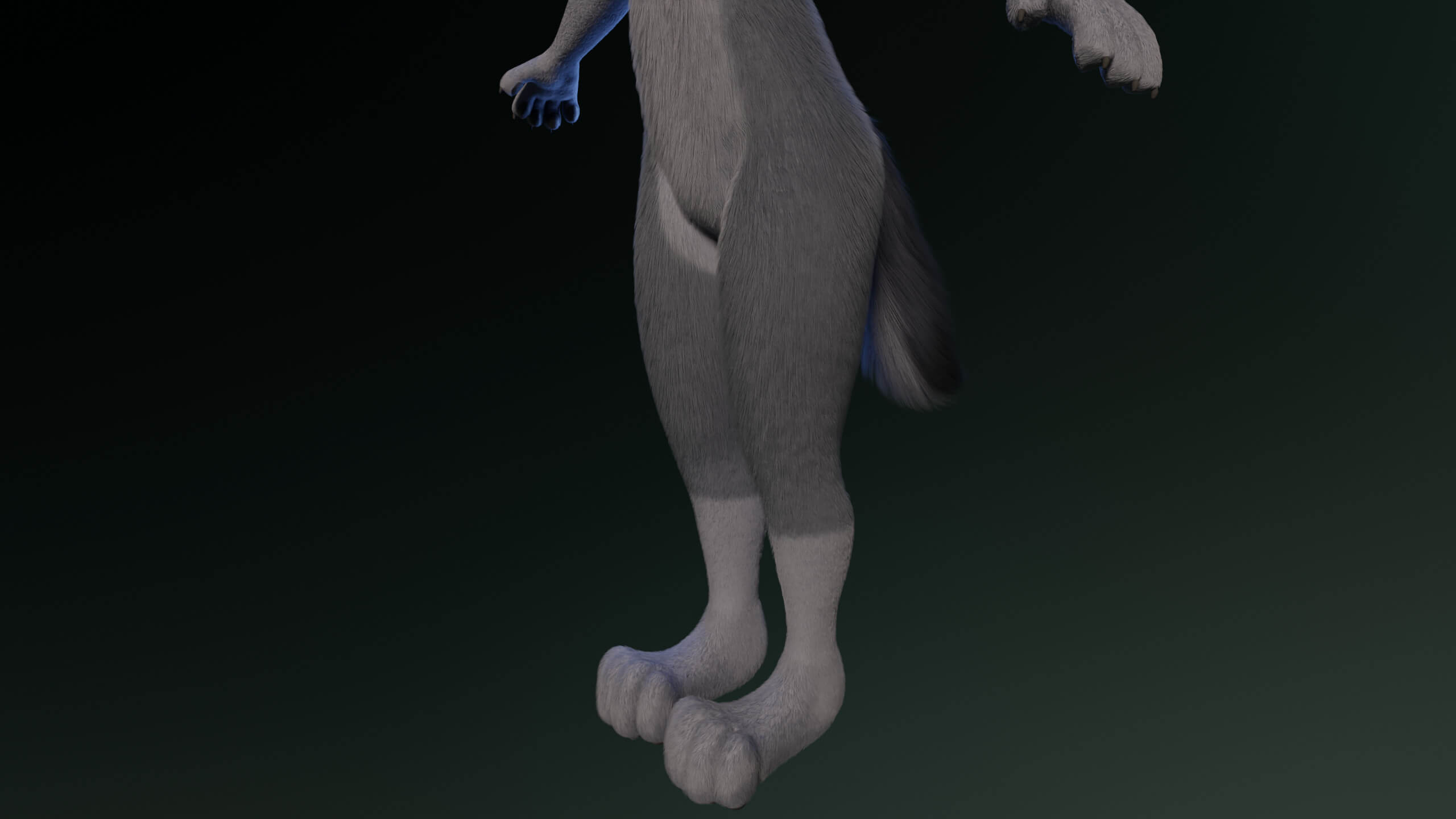 Jennifer Anthro Wolf - 3D Model by CM Studios