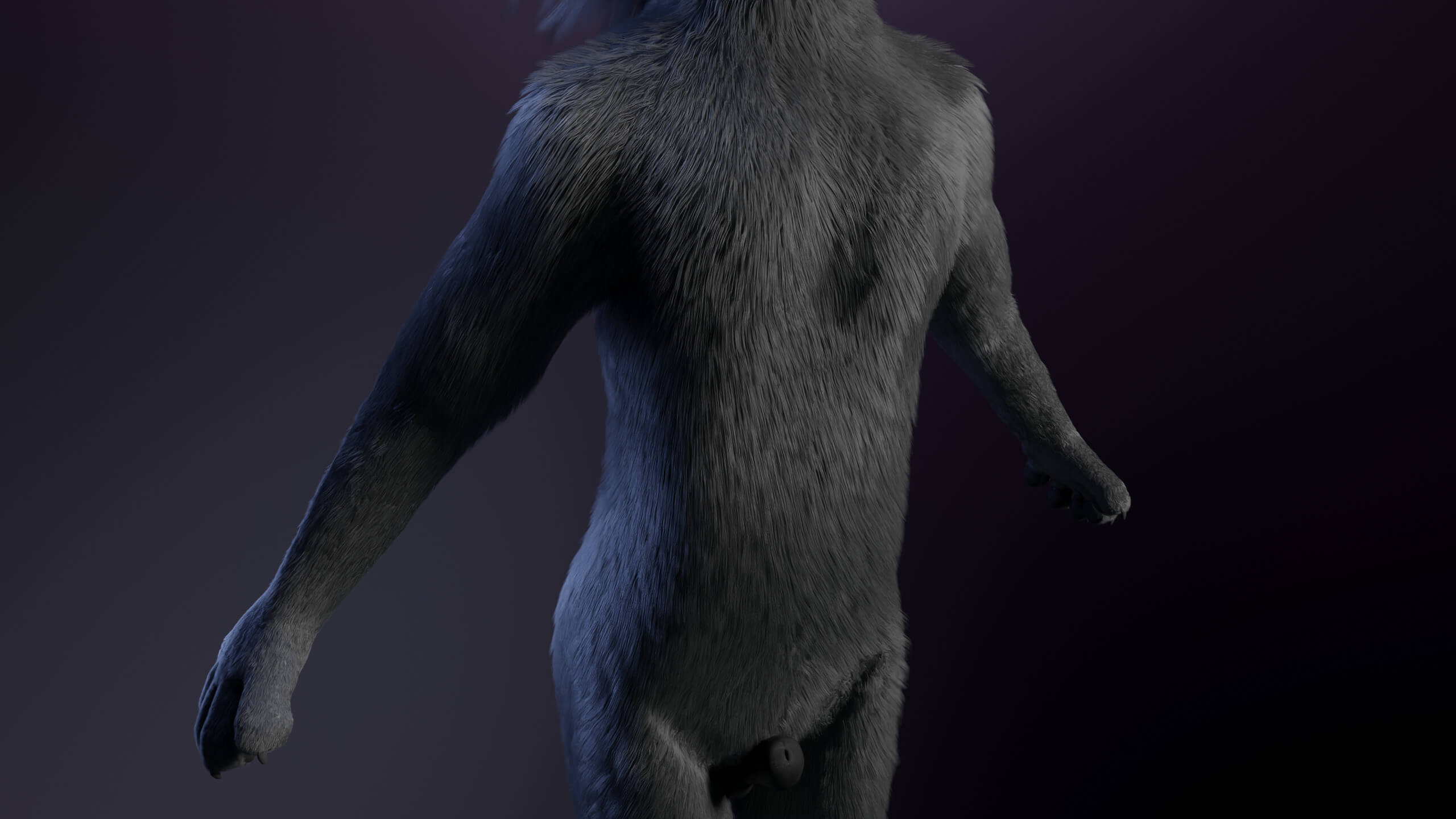 Jonny Anthro Wolf - 3D Model by CM Studios