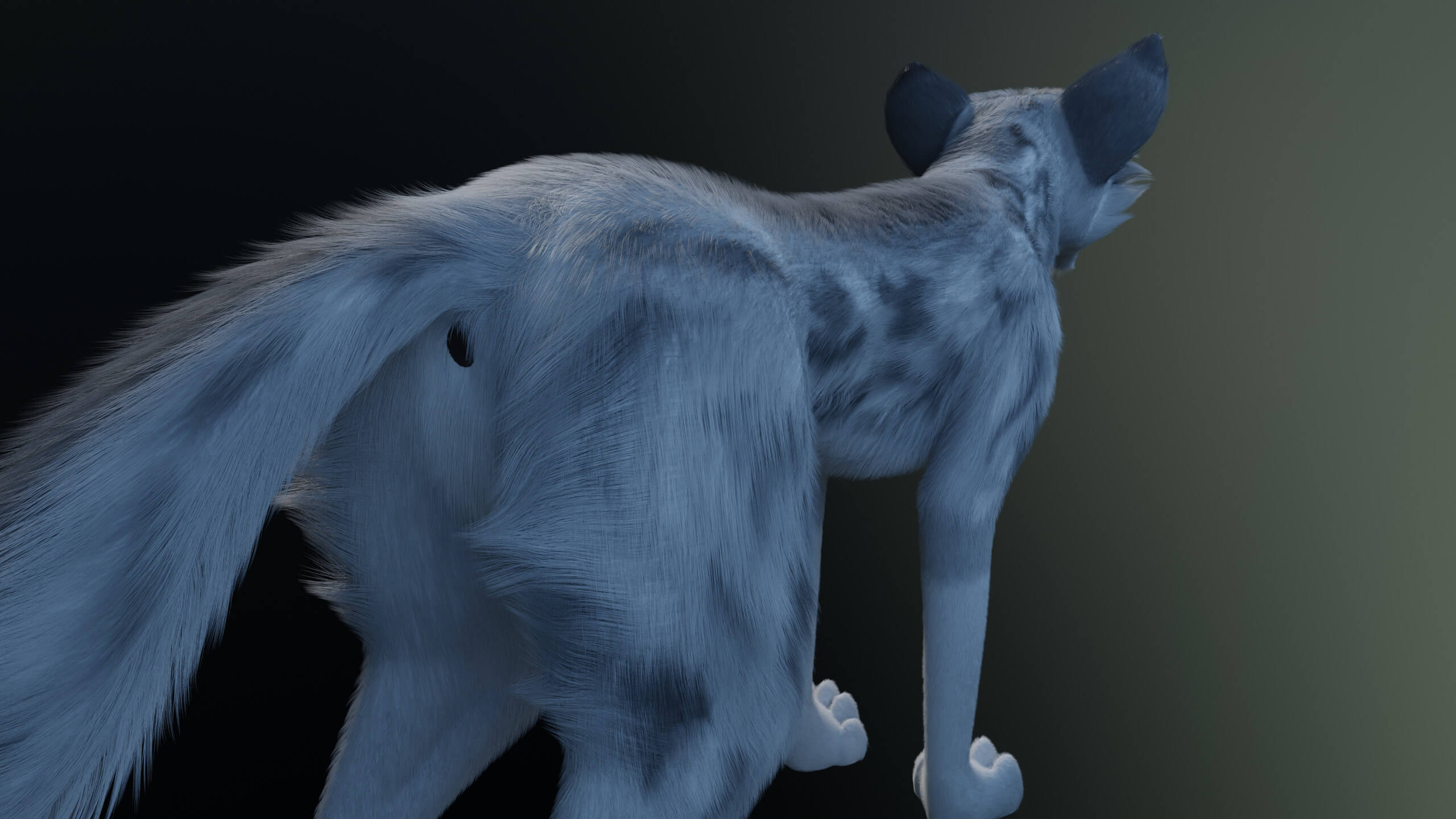 Kodai Wolf 3D Model by CM Studios