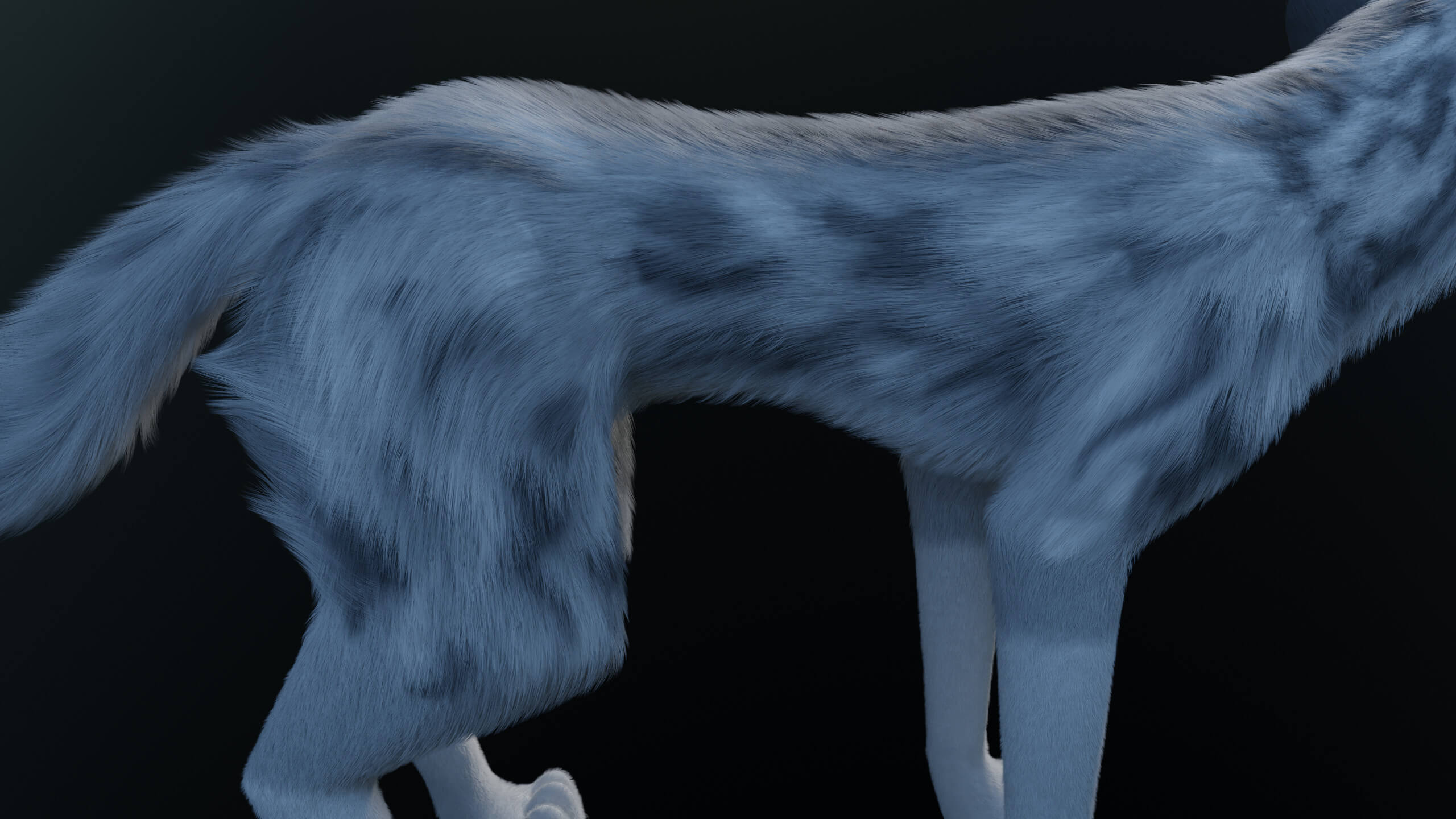 Kodai Wolf 3D Model by CM Studios