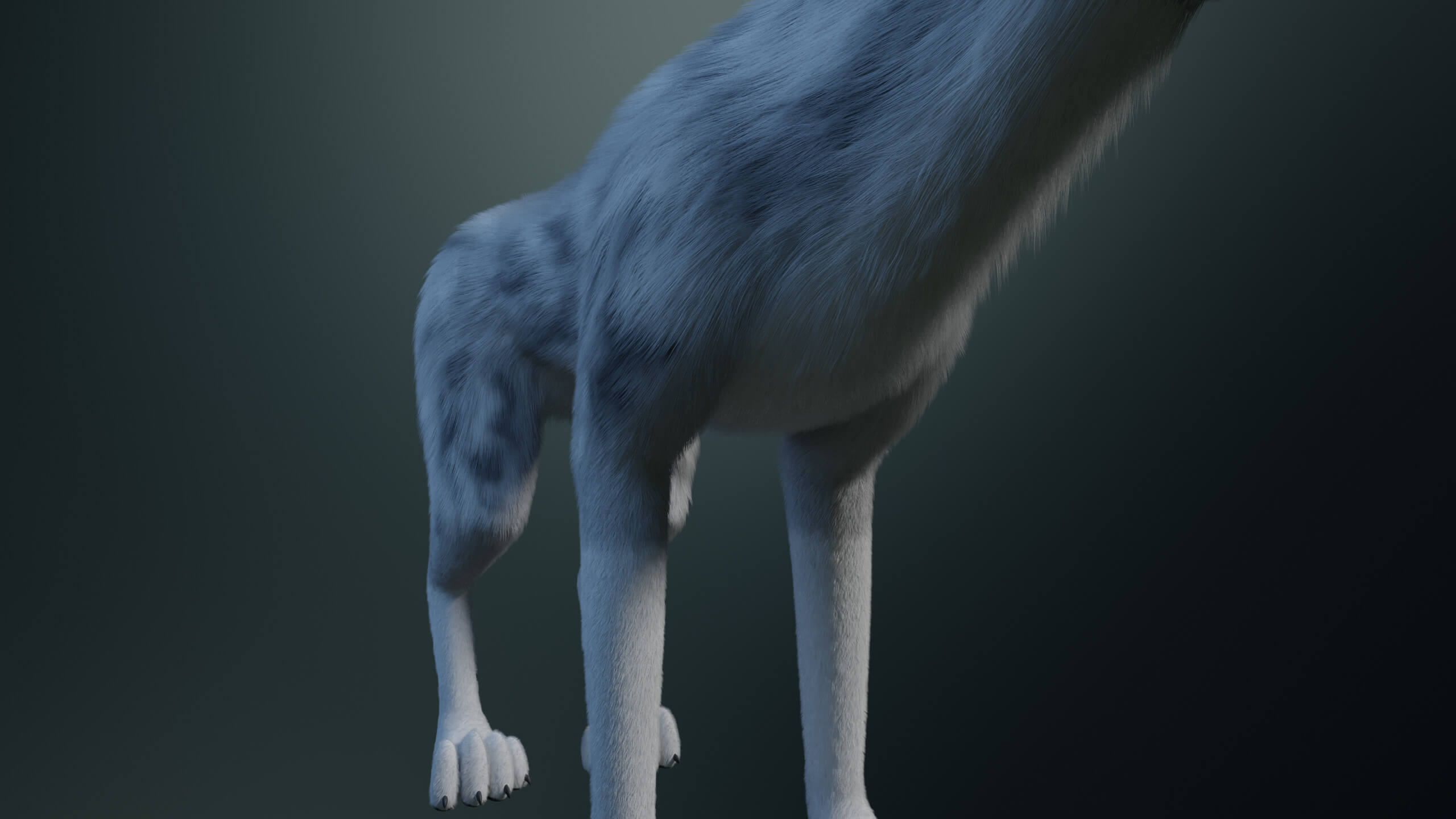 Kodai Wolf 3D Model by CM Studios