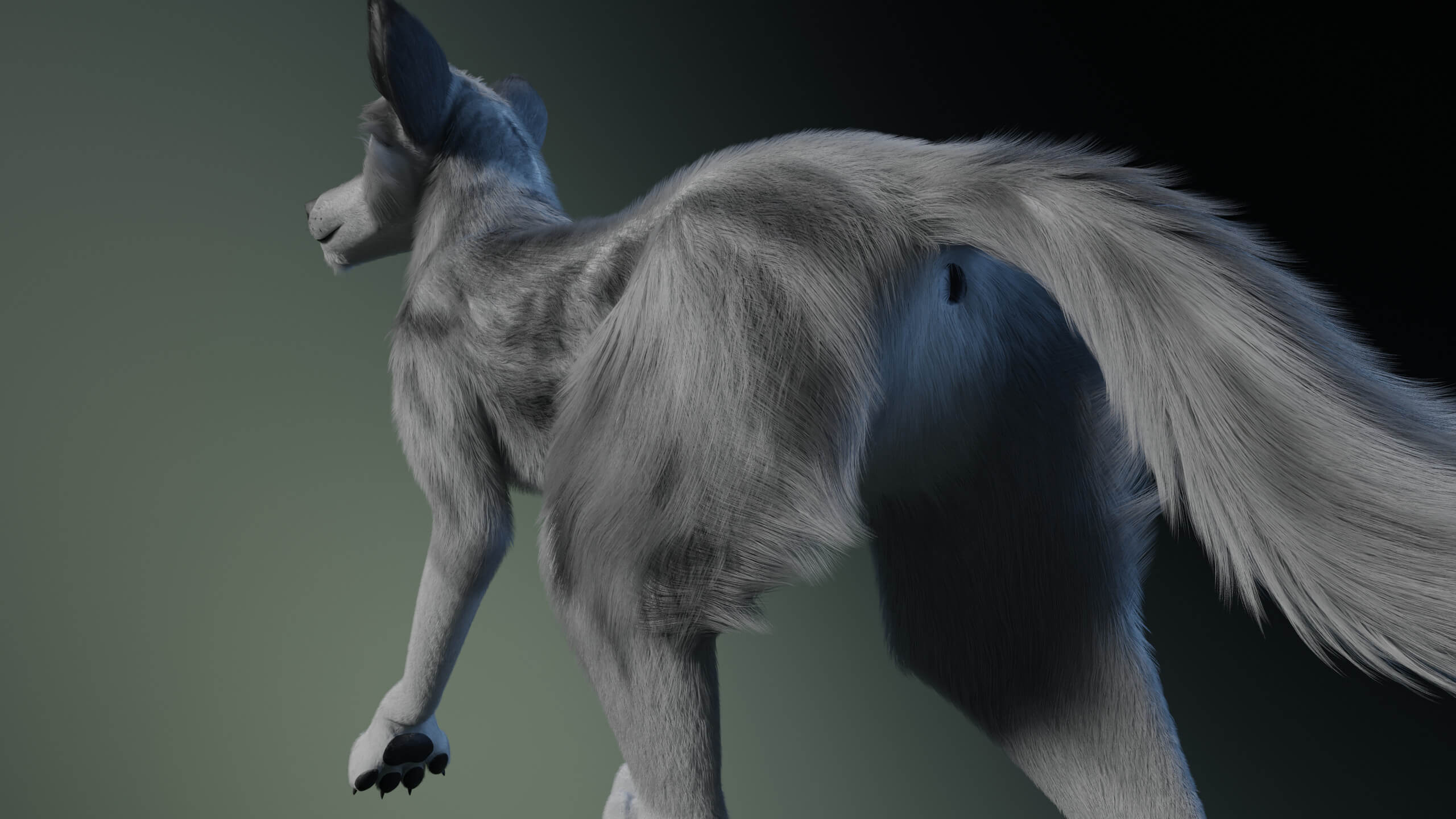 Kodai Wolf 3D Model by CM Studios