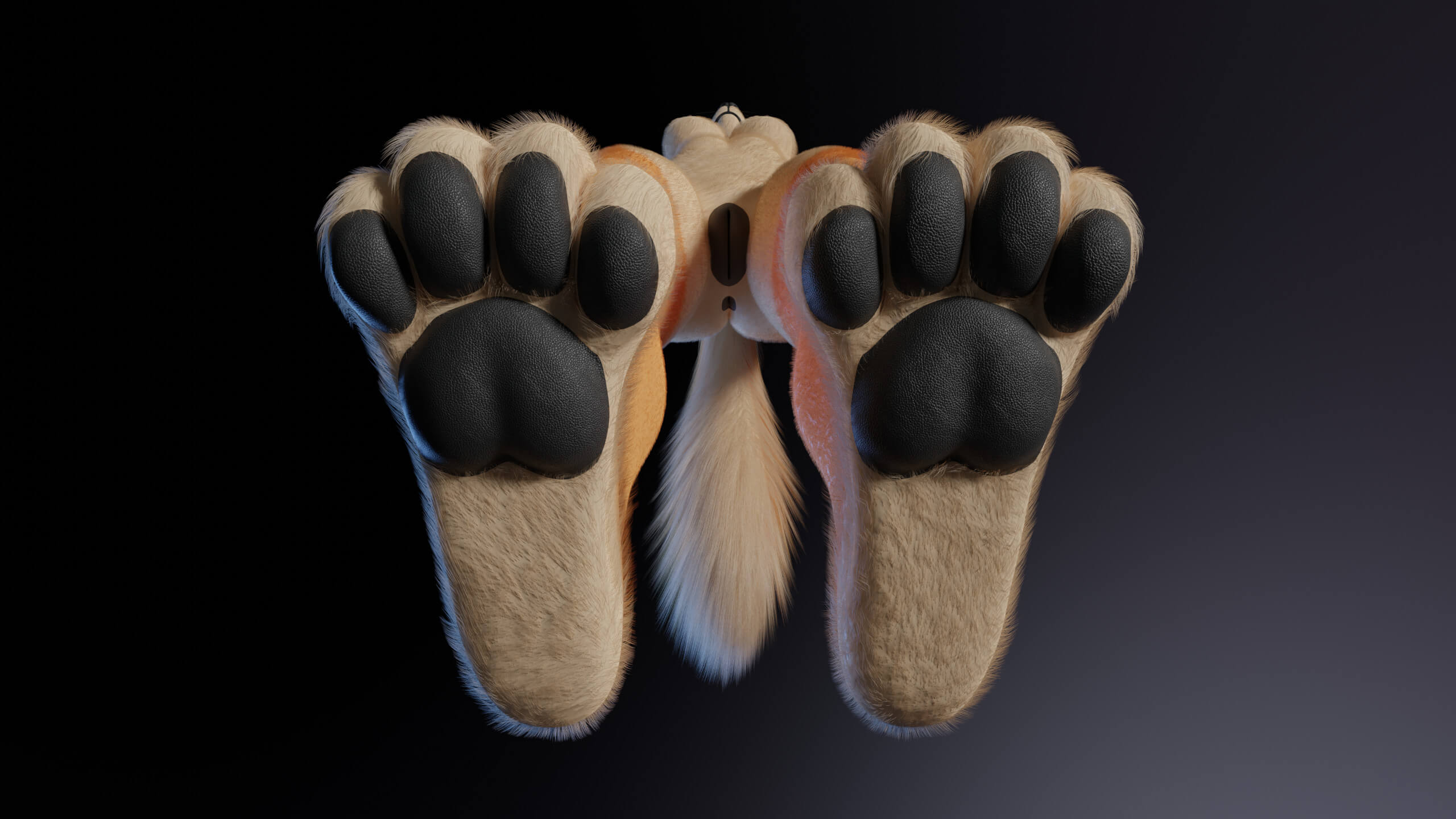 Maggie Anthro Dingo - 3D Model by CM Studios