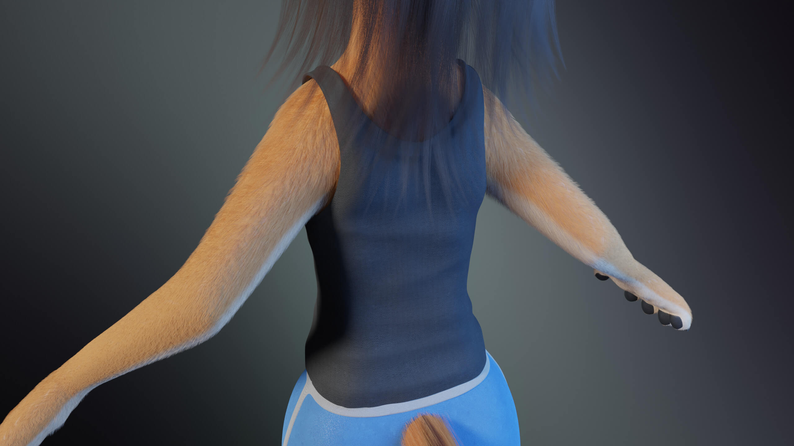 Maggie Anthro Dingo - 3D Model by CM Studios