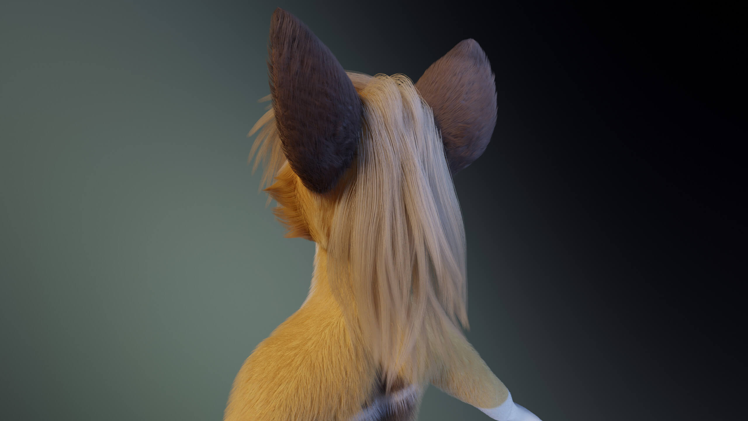 Nara Anthro Fox - 3D Model by CM Studios
