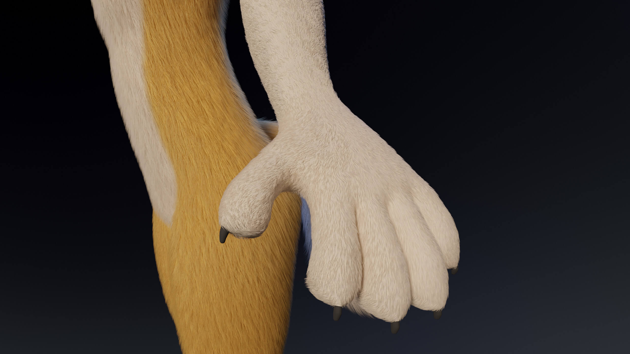 Nara Anthro Fox - 3D Model by CM Studios