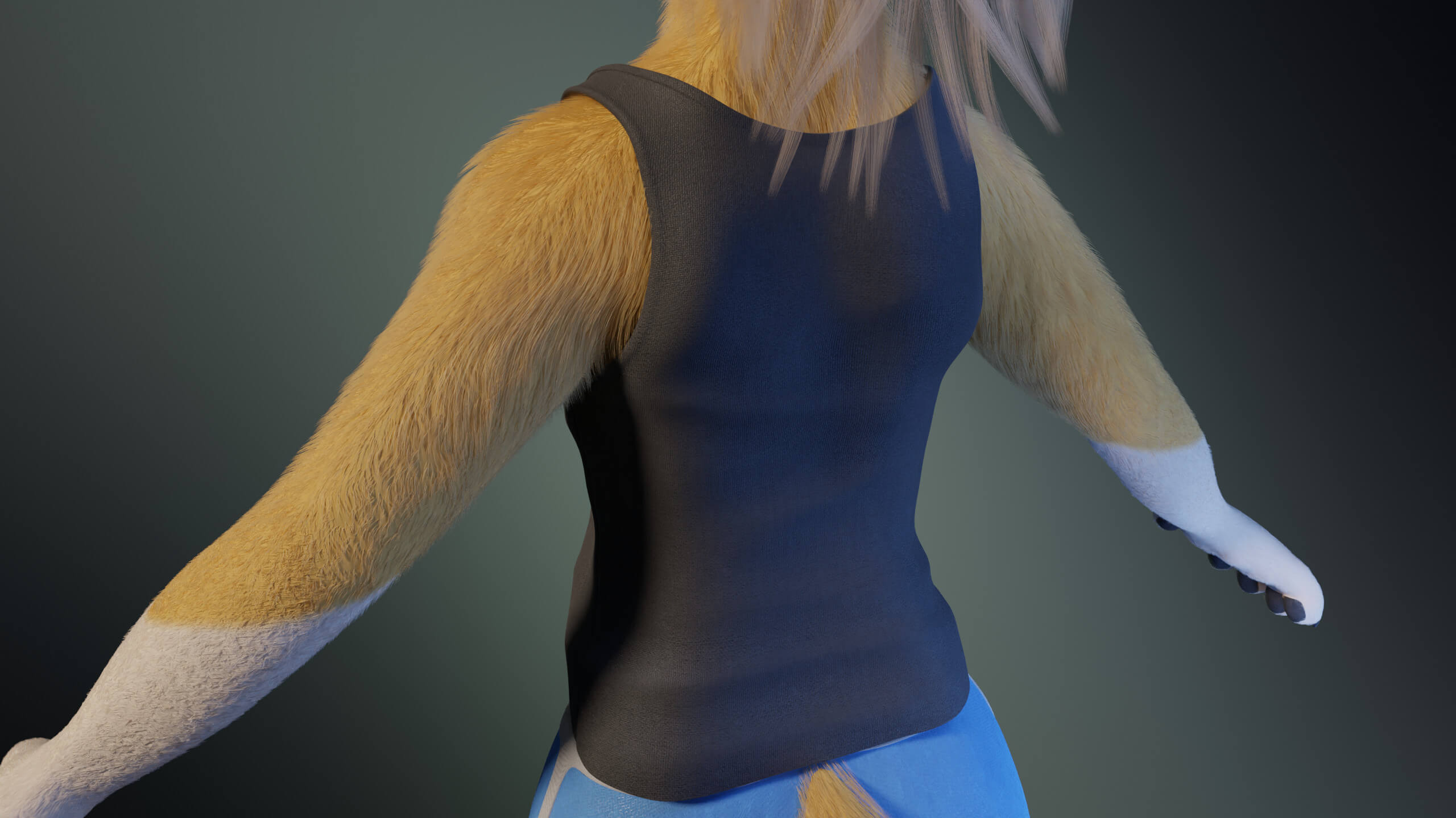 Nara Anthro Fox - 3D Model by CM Studios