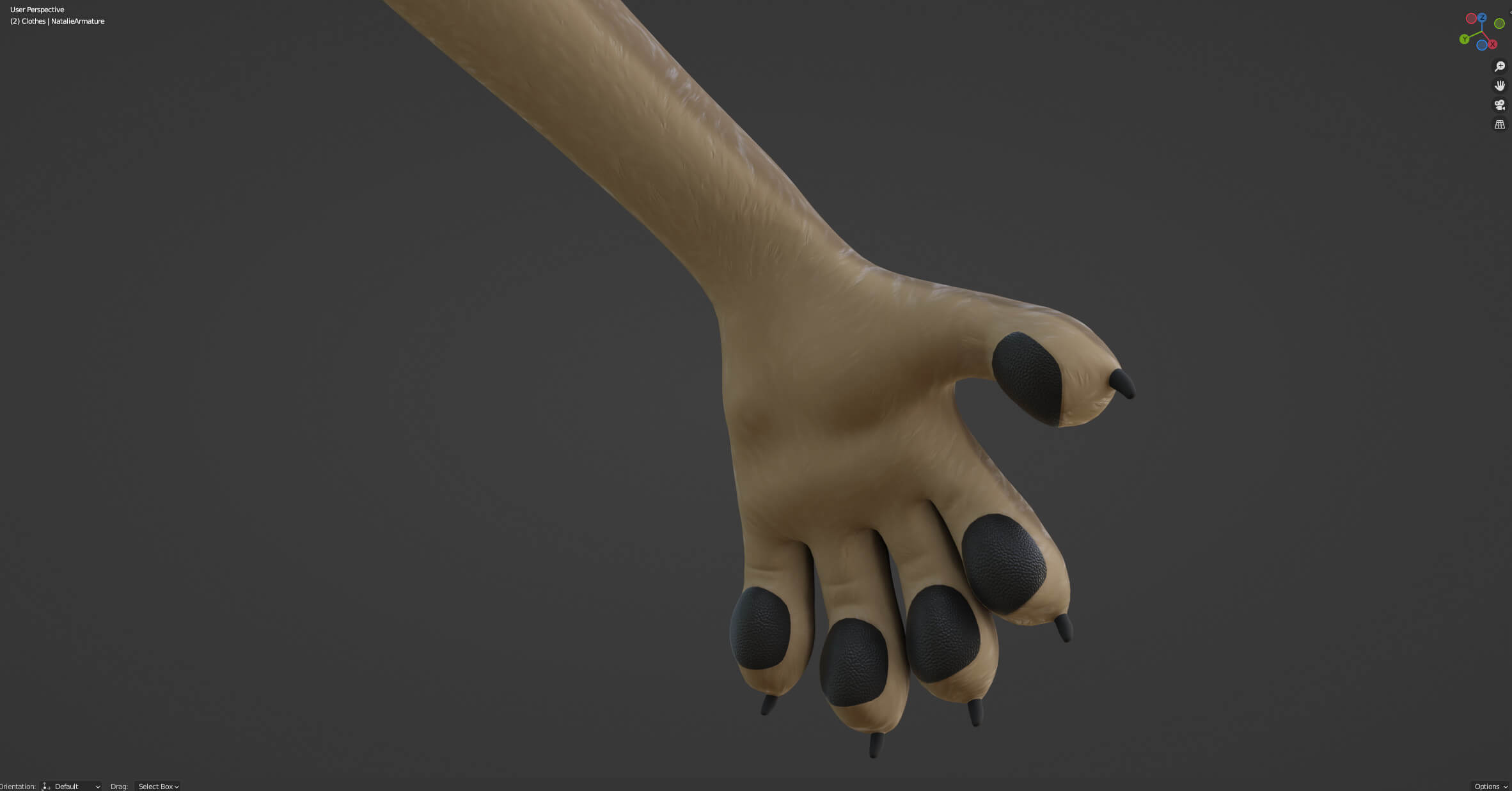 Natalie Anthro Wolf - 3D Model by CM Studios
