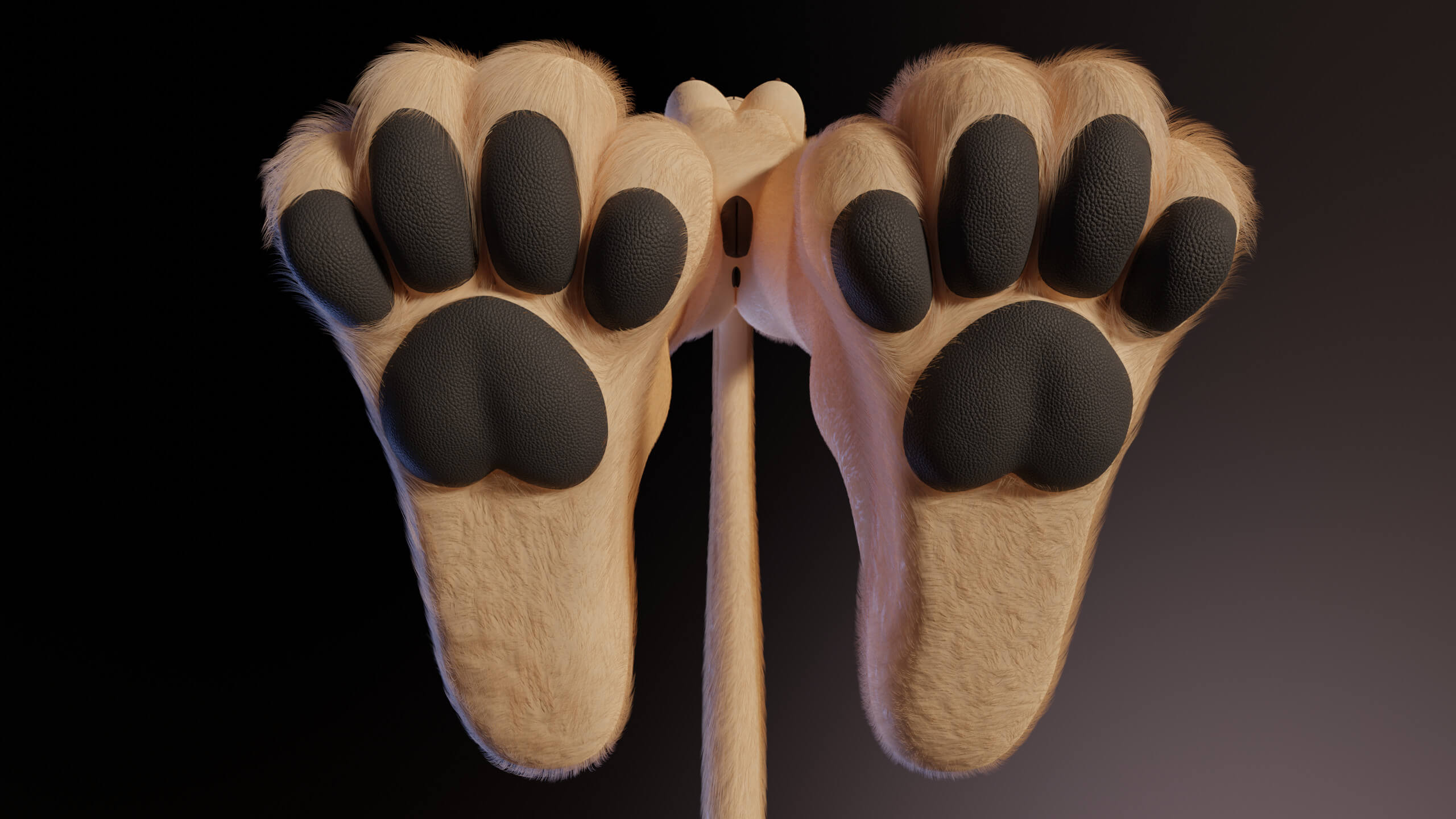 Nicole Anthro Lioness - 3D Model by CM Studios