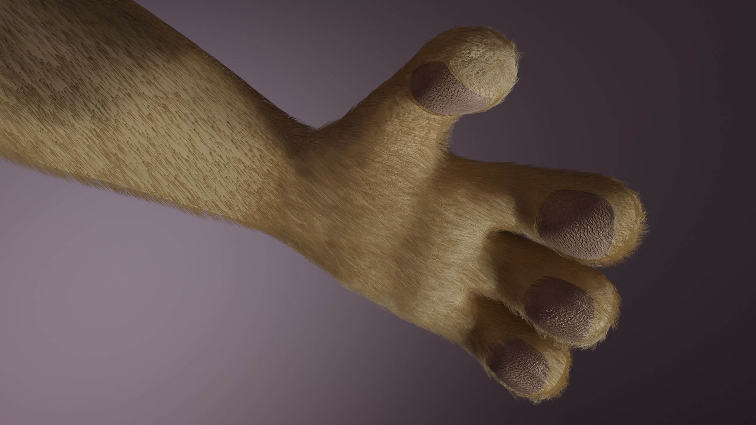Nicolle Anthro Lioness - 3D Model by CM Studios
