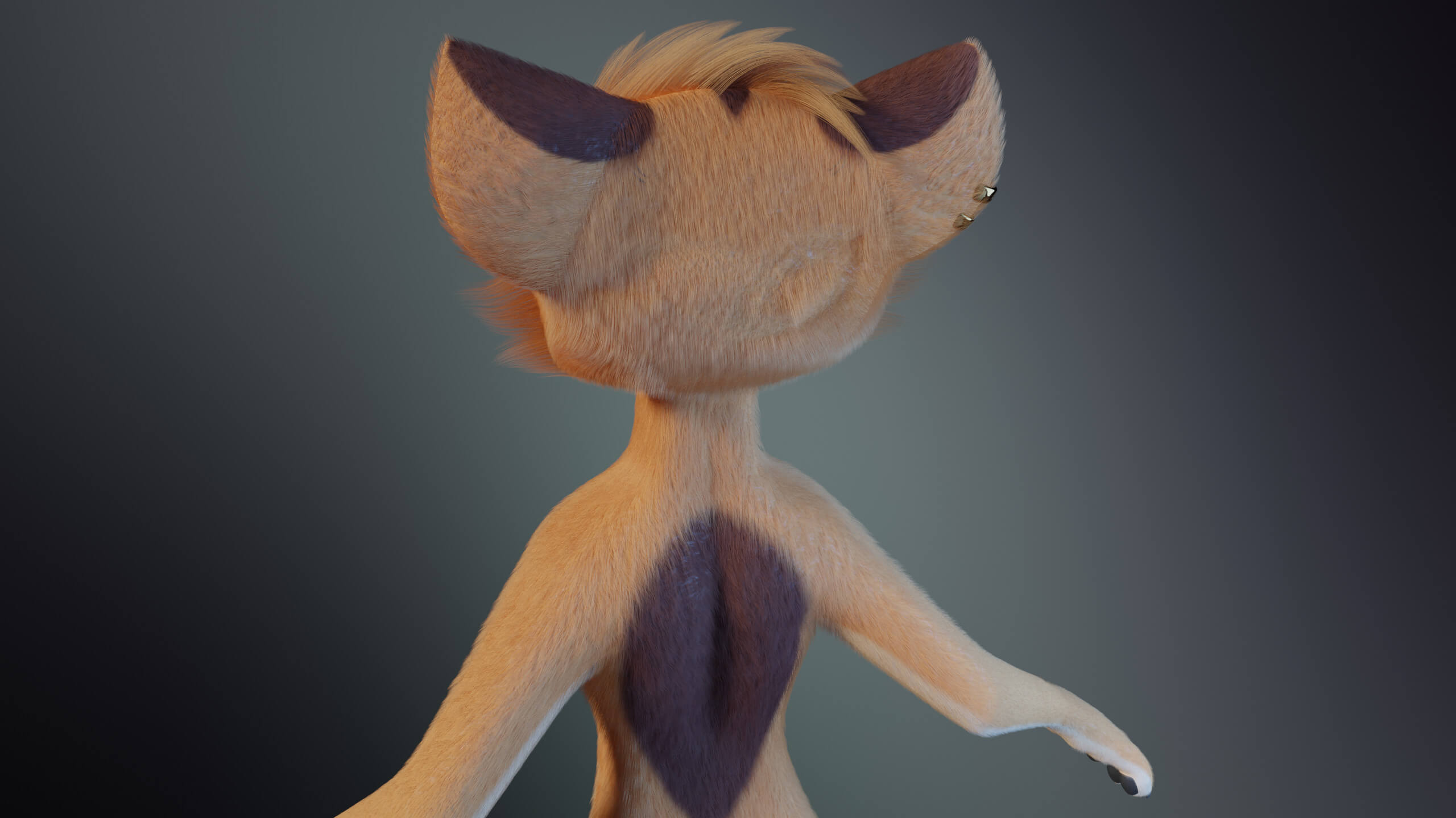 Rachel Anthro Dingo - 3D Model by CM Studios