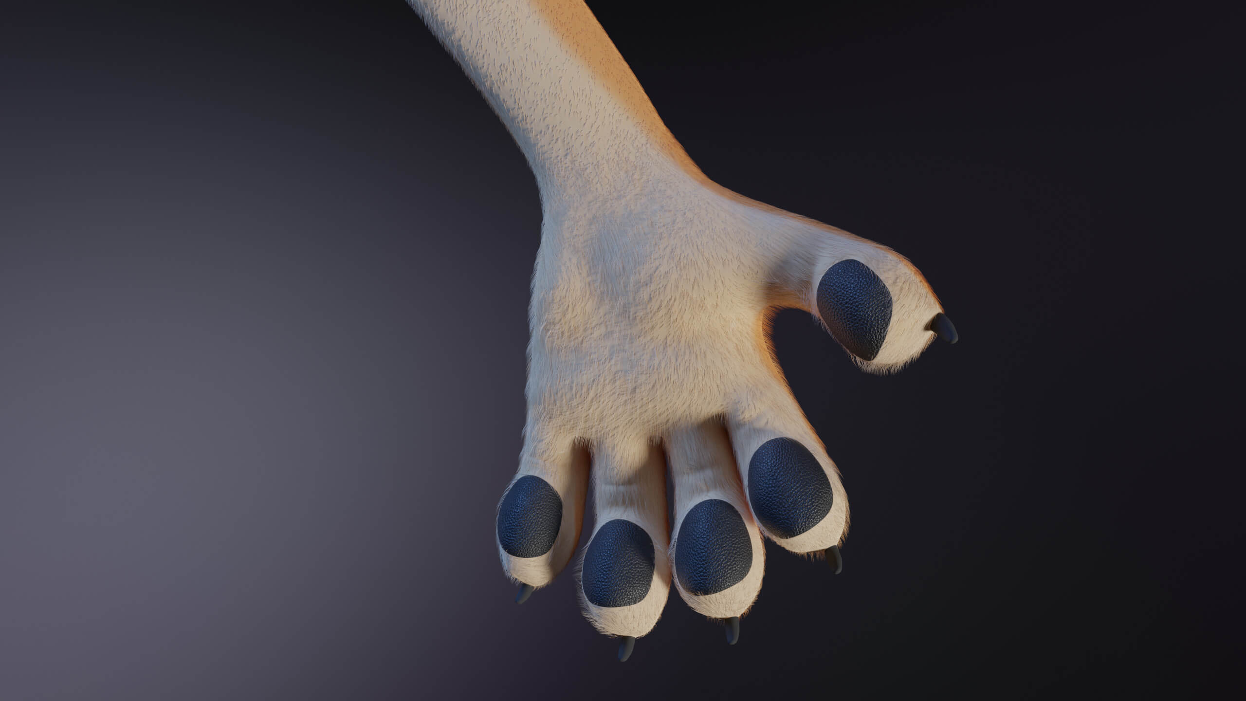 Rachel Anthro Dingo - 3D Model by CM Studios