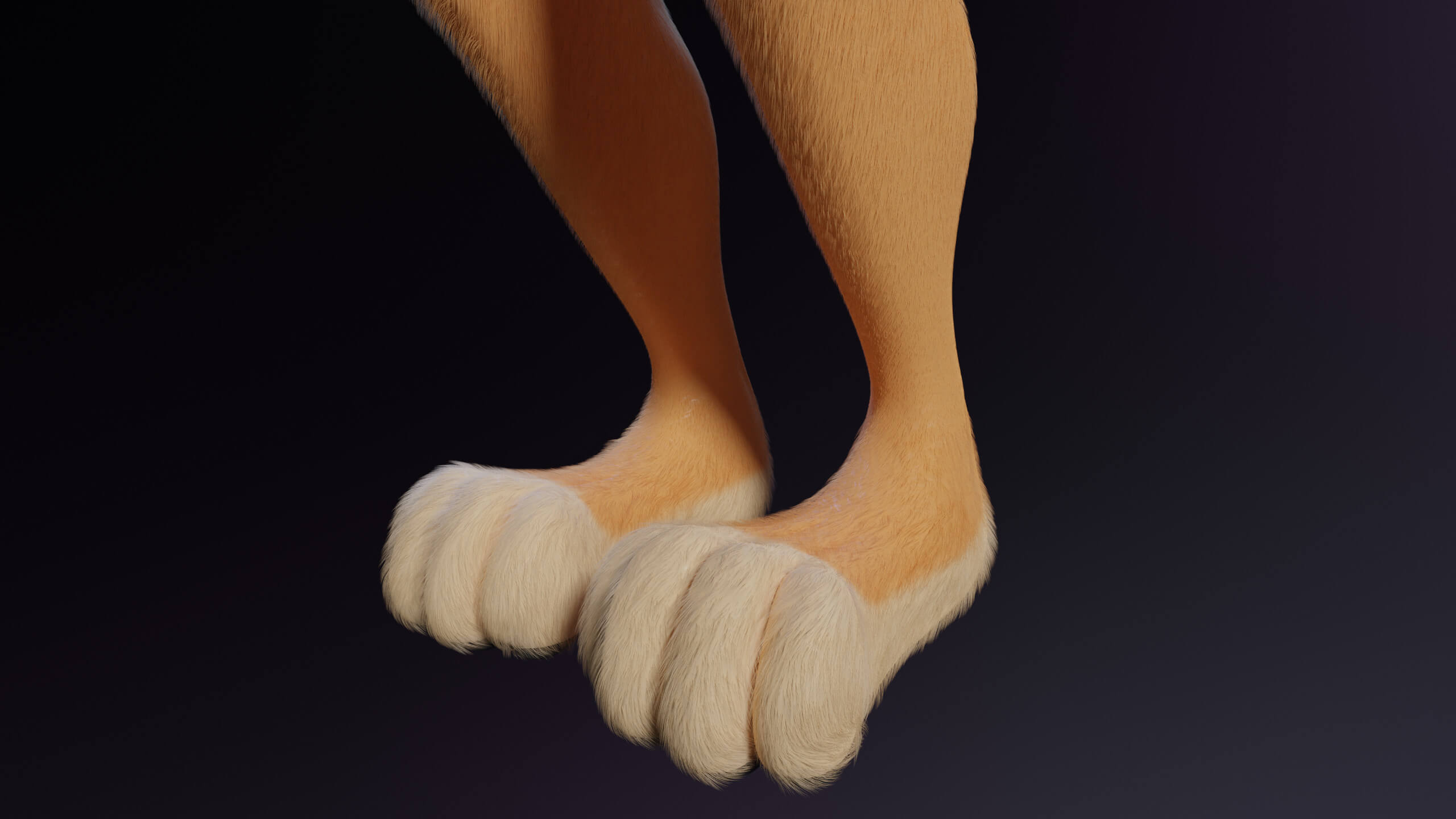 Rachel Anthro Dingo - 3D Model by CM Studios