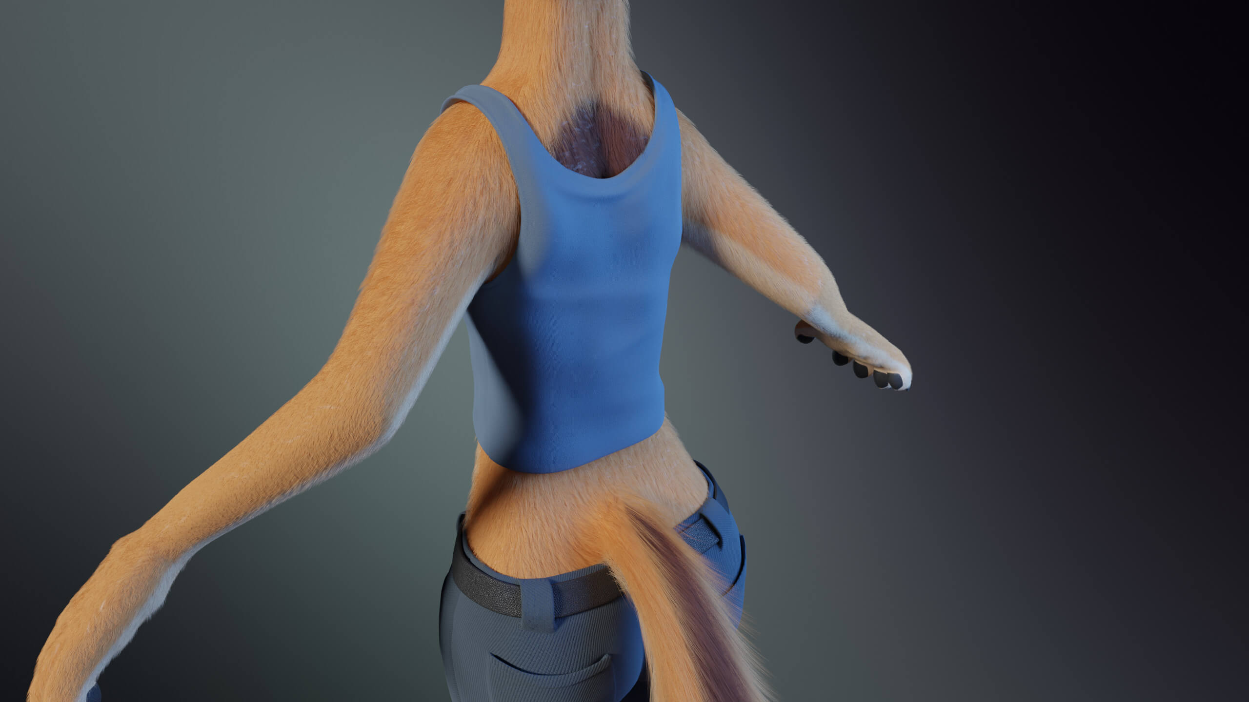 Rachel Anthro Dingo - 3D Model by CM Studios