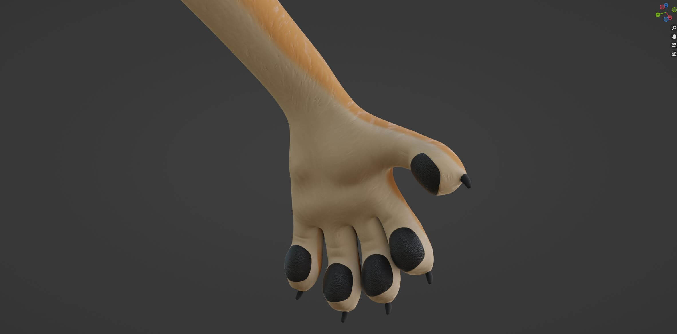 Rachel Anthro Dingo - 3D Model by CM Studios