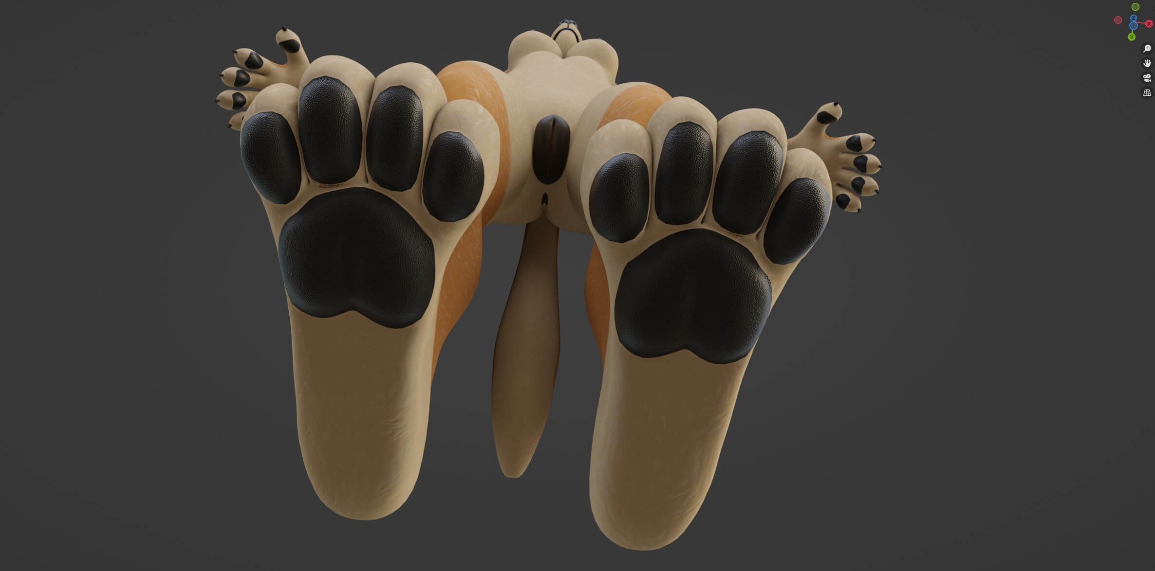 Rachel Anthro Dingo - 3D Model by CM Studios