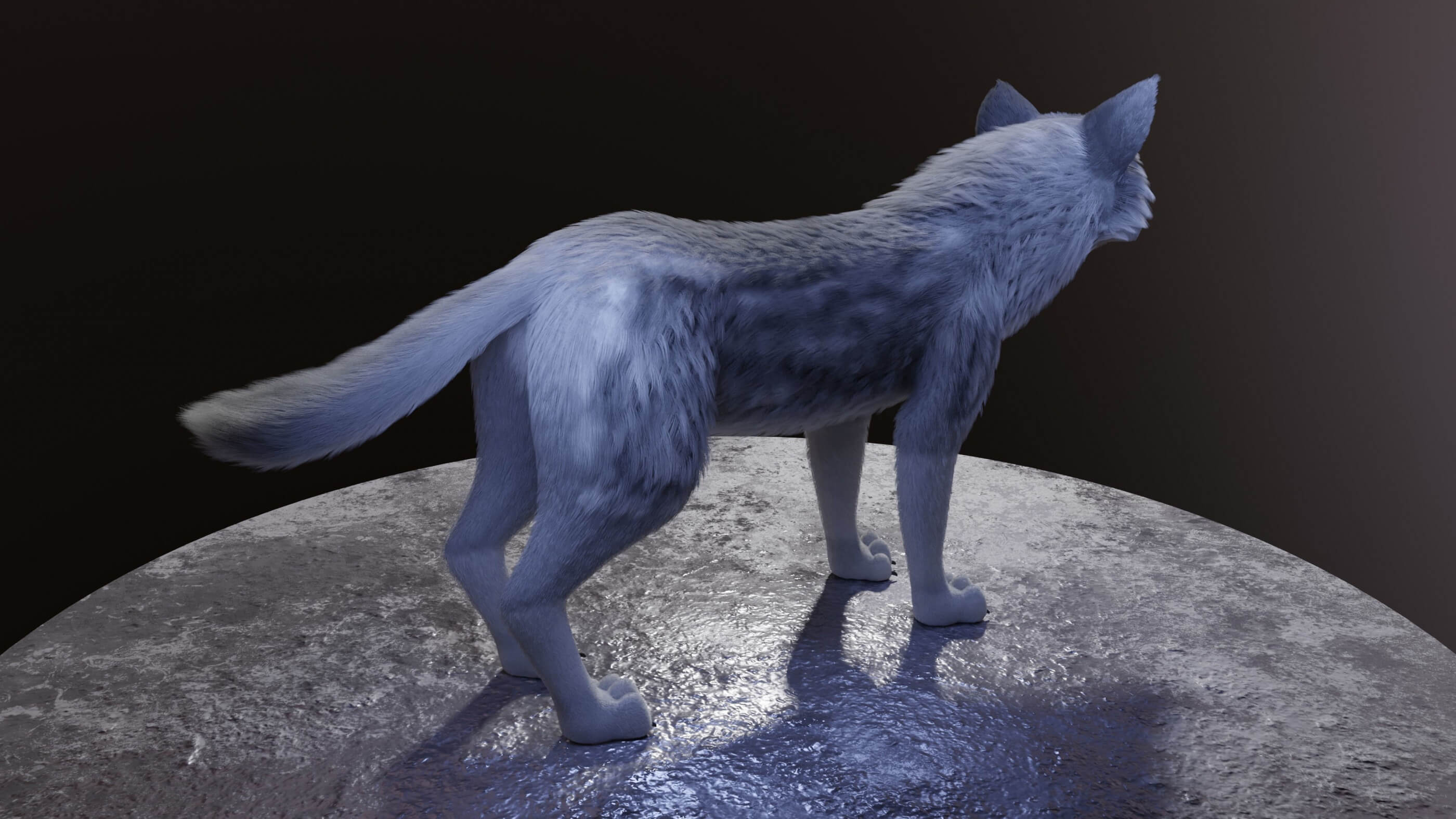 Ranky Wolf - 3D Model by CM Studios