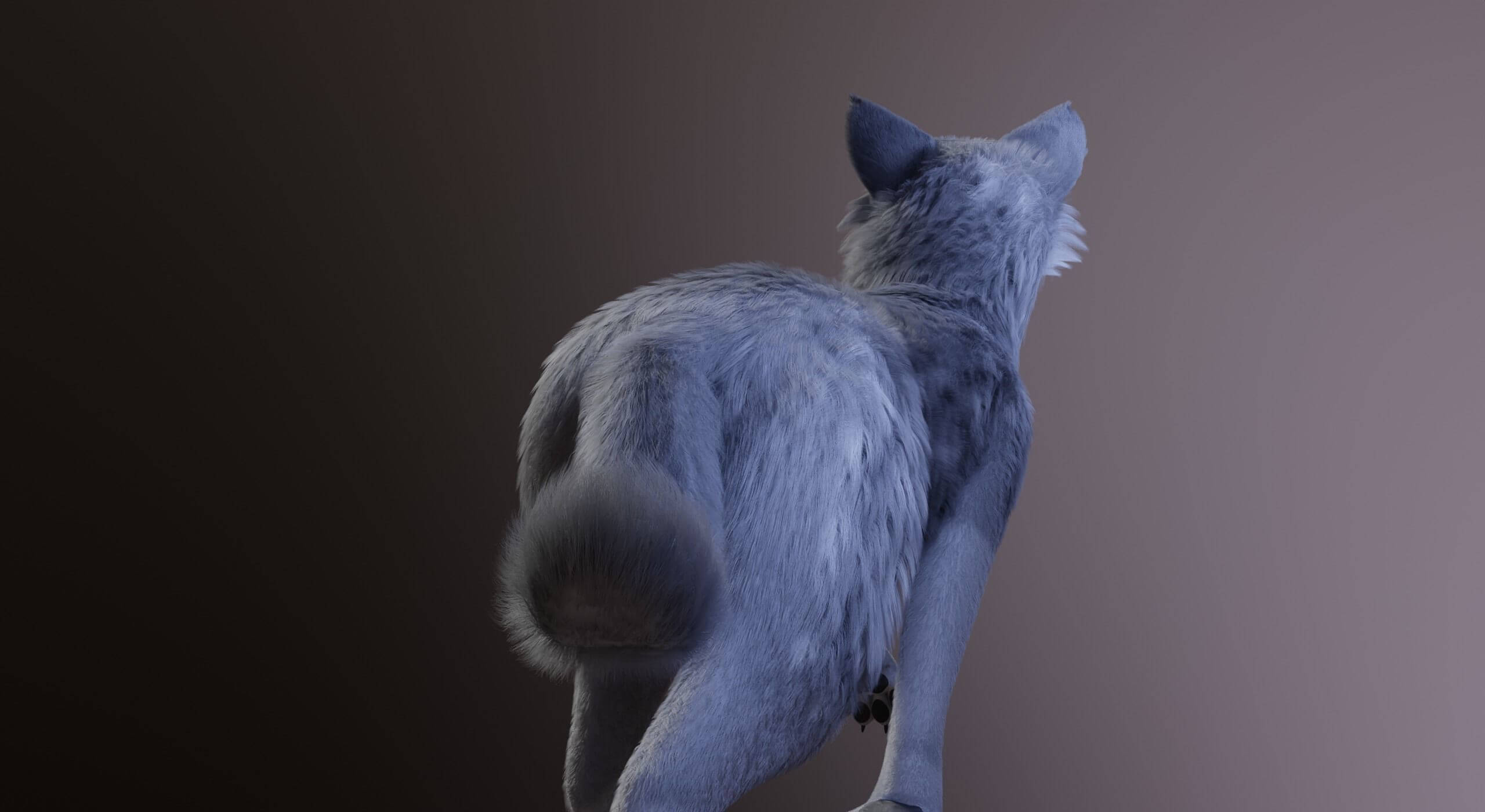 Ranky Wolf - 3D Model by CM Studios