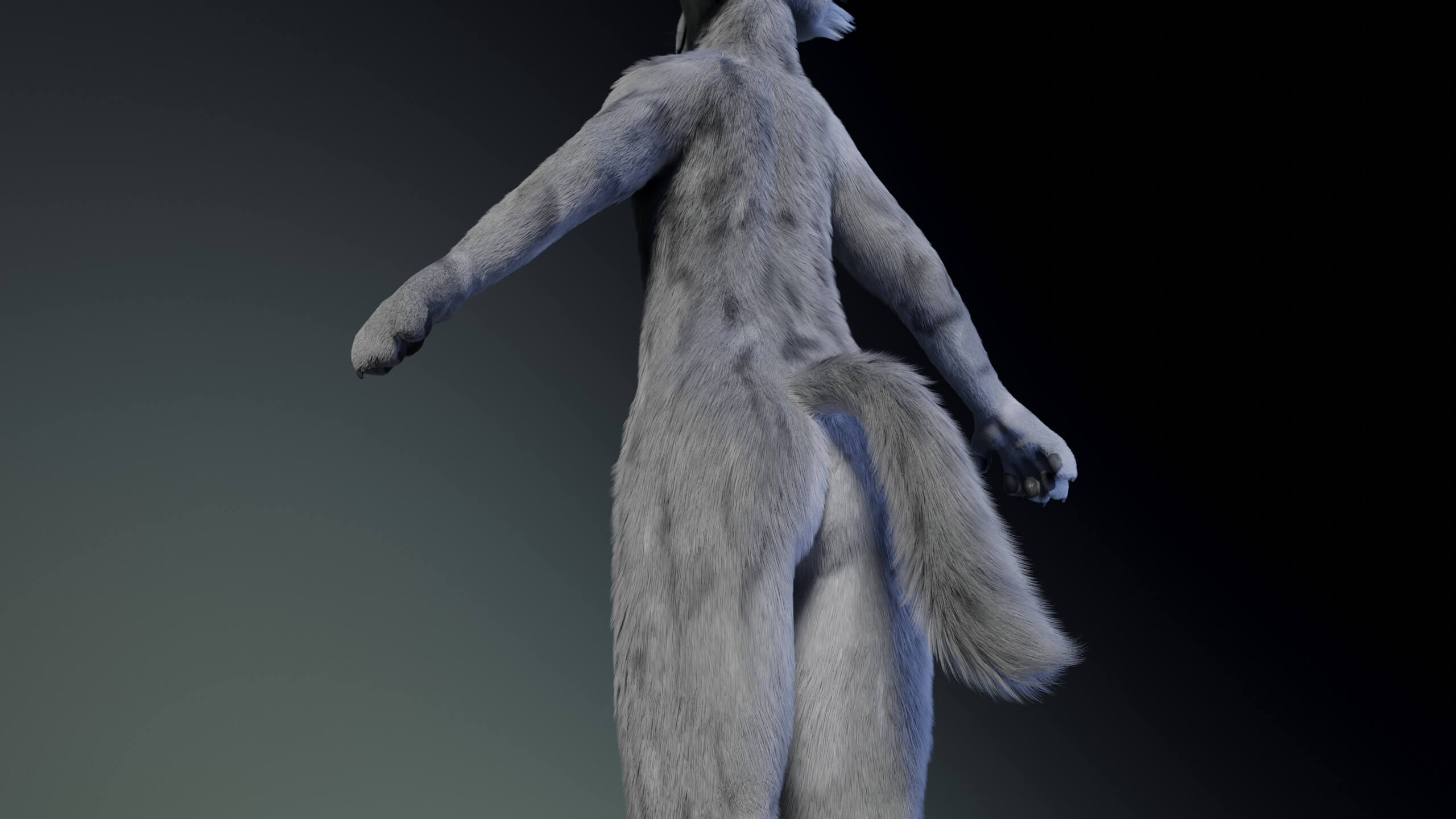 Richard Anthro Wolf - 3D Model by CM Studios