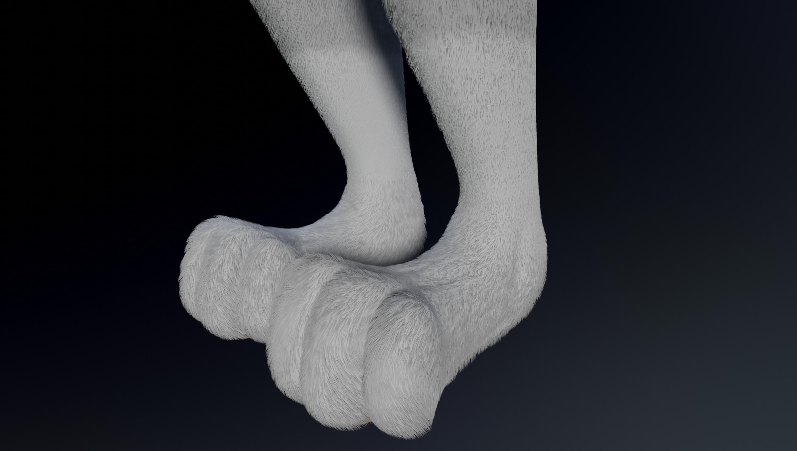 Sara Anthro Rabbit - 3D Model by CM Studios