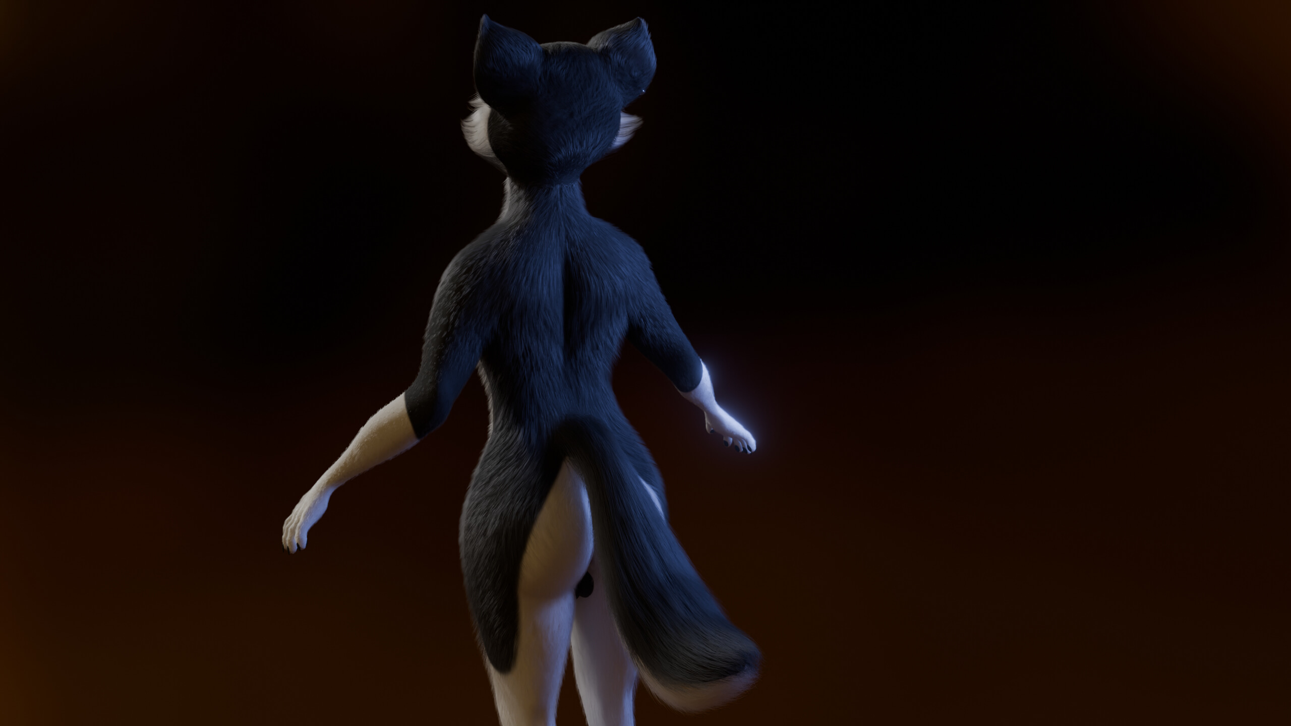 Thomas Anthro Husky - 3D Model by CM Studios