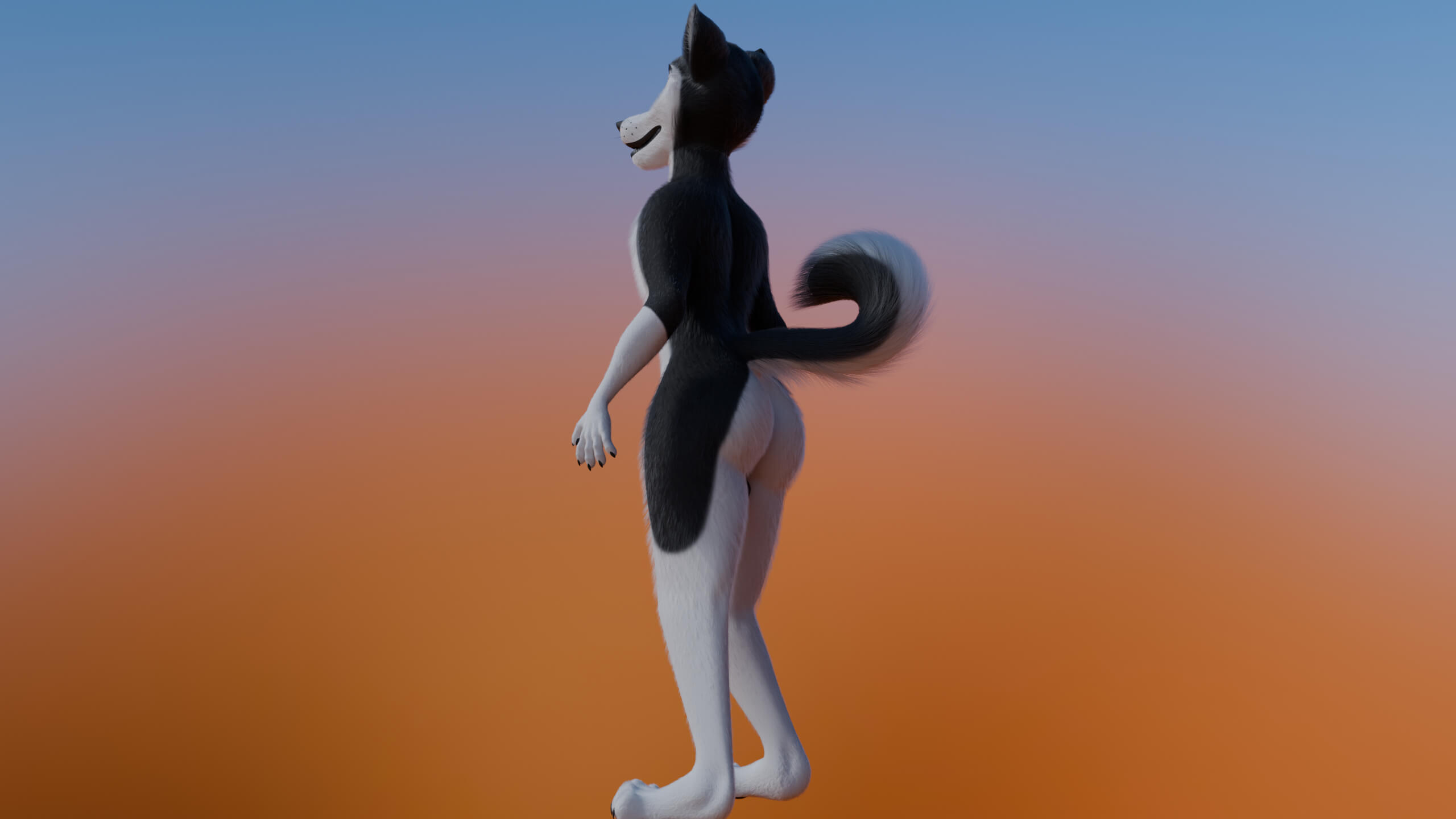 Thomas Anthro Husky - 3D Model by CM Studios