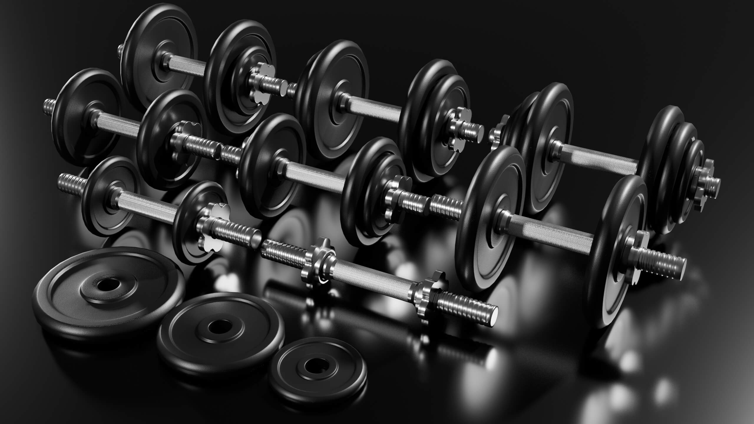 Adjustable Dumbbell - 3D Model by Coeptum