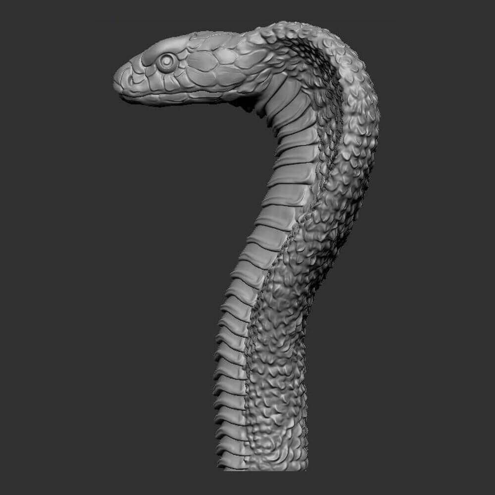 Cobra Head - 3D Print Model by craft3D