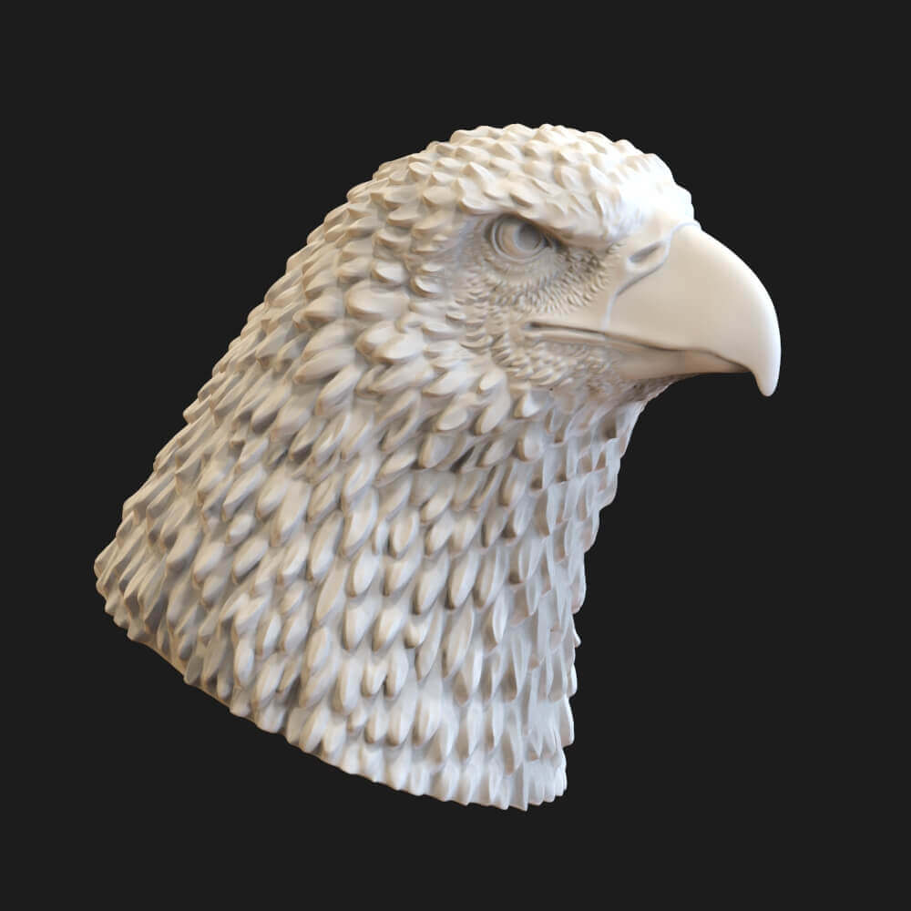 Eagle Head - 3D Model by craft3D