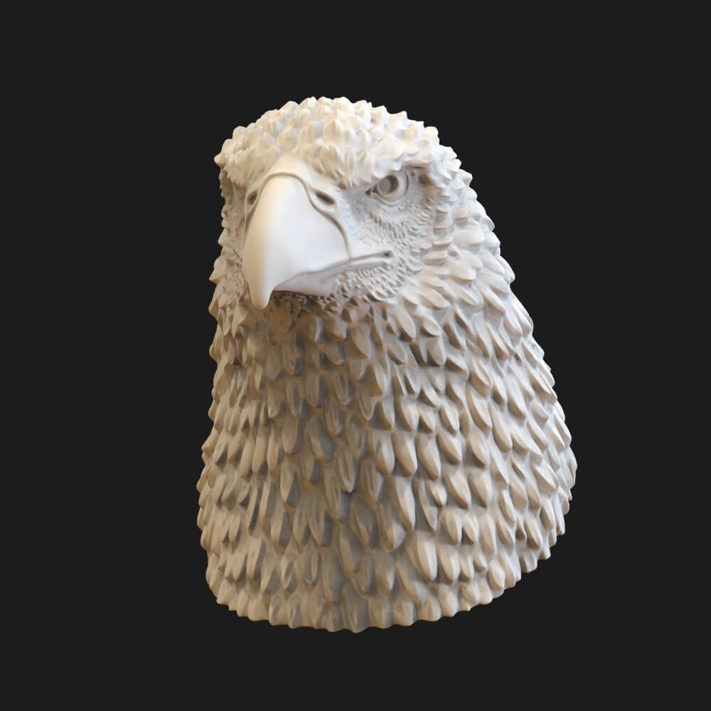 Eagle Head - 3D Model by craft3D