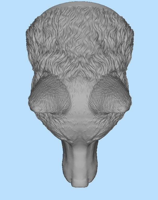 Fox Head - 3D Model by craft3D